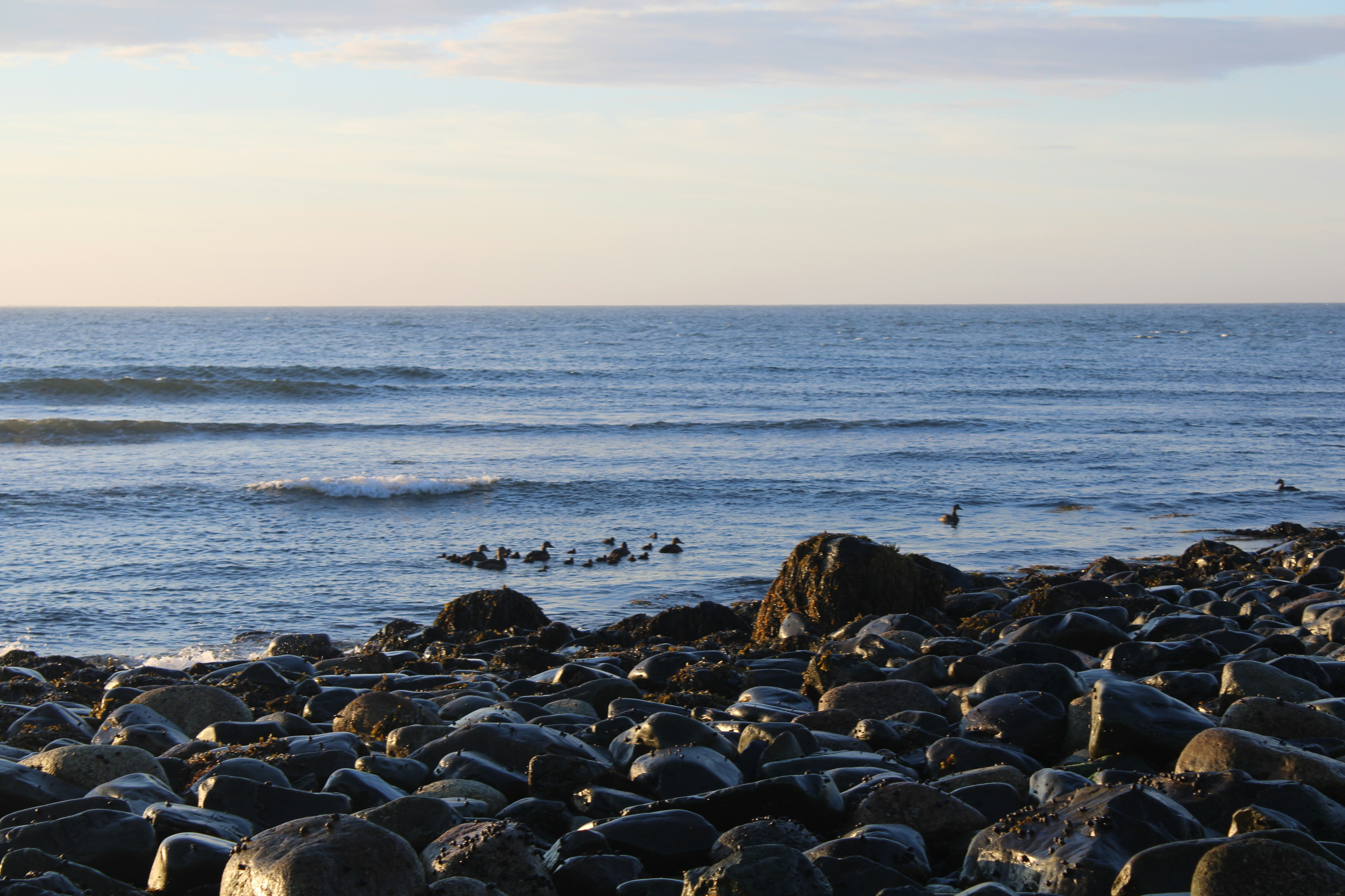 Evening Tide Over Weathered Pebbles