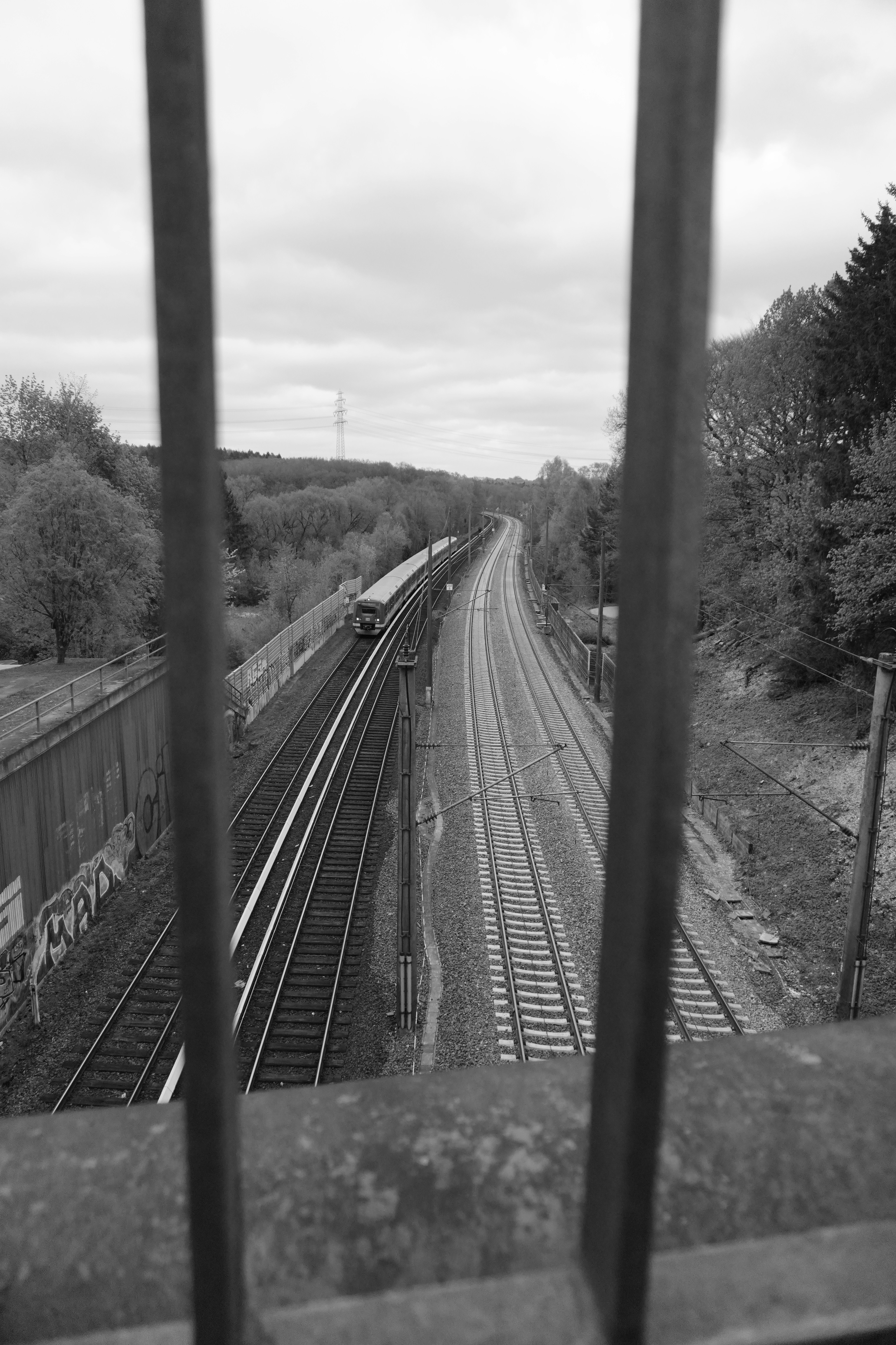 Through the Rails: Perspective from the Bridge