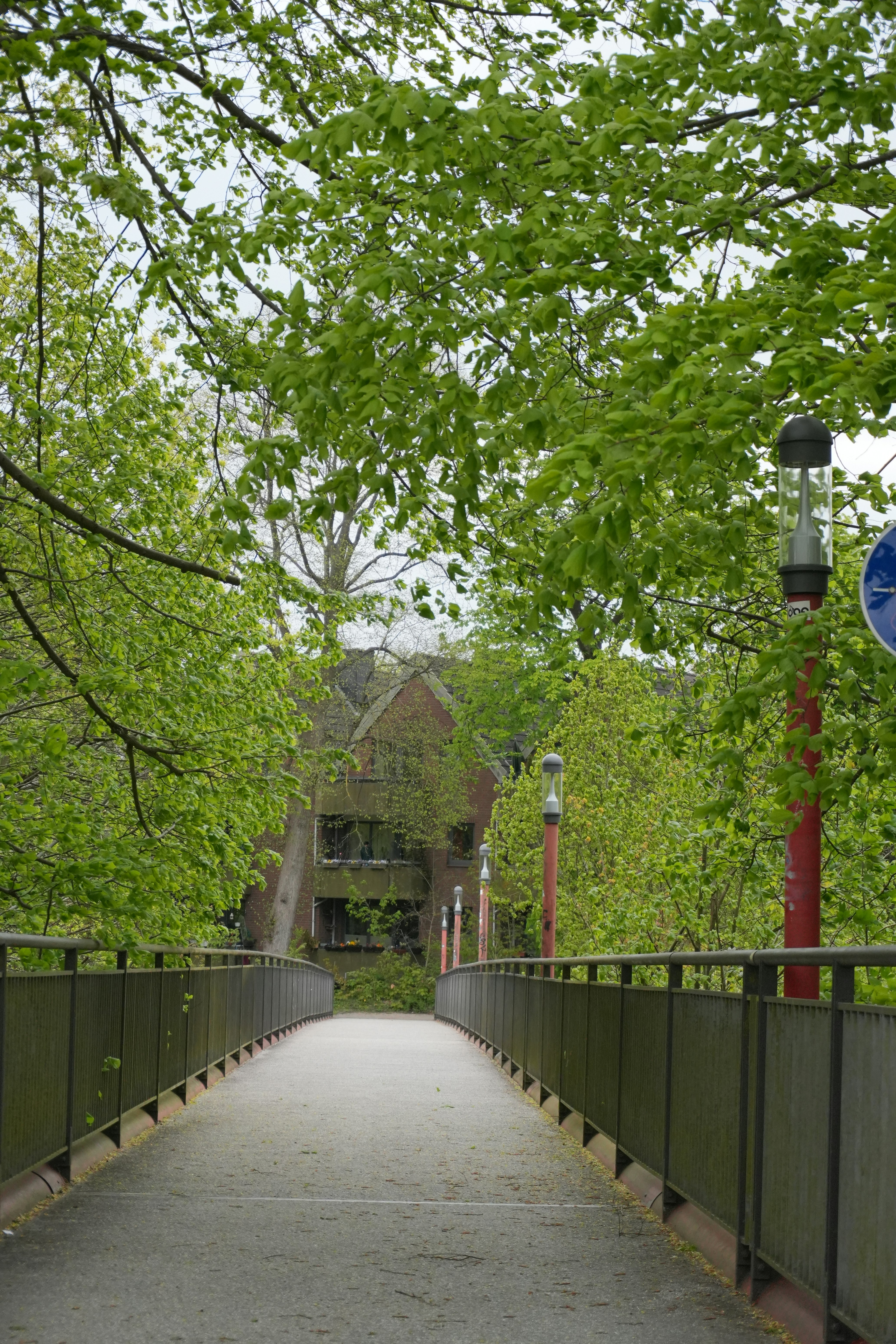 Verdant Bridge Wake: A Quiet Path Through Green Arches