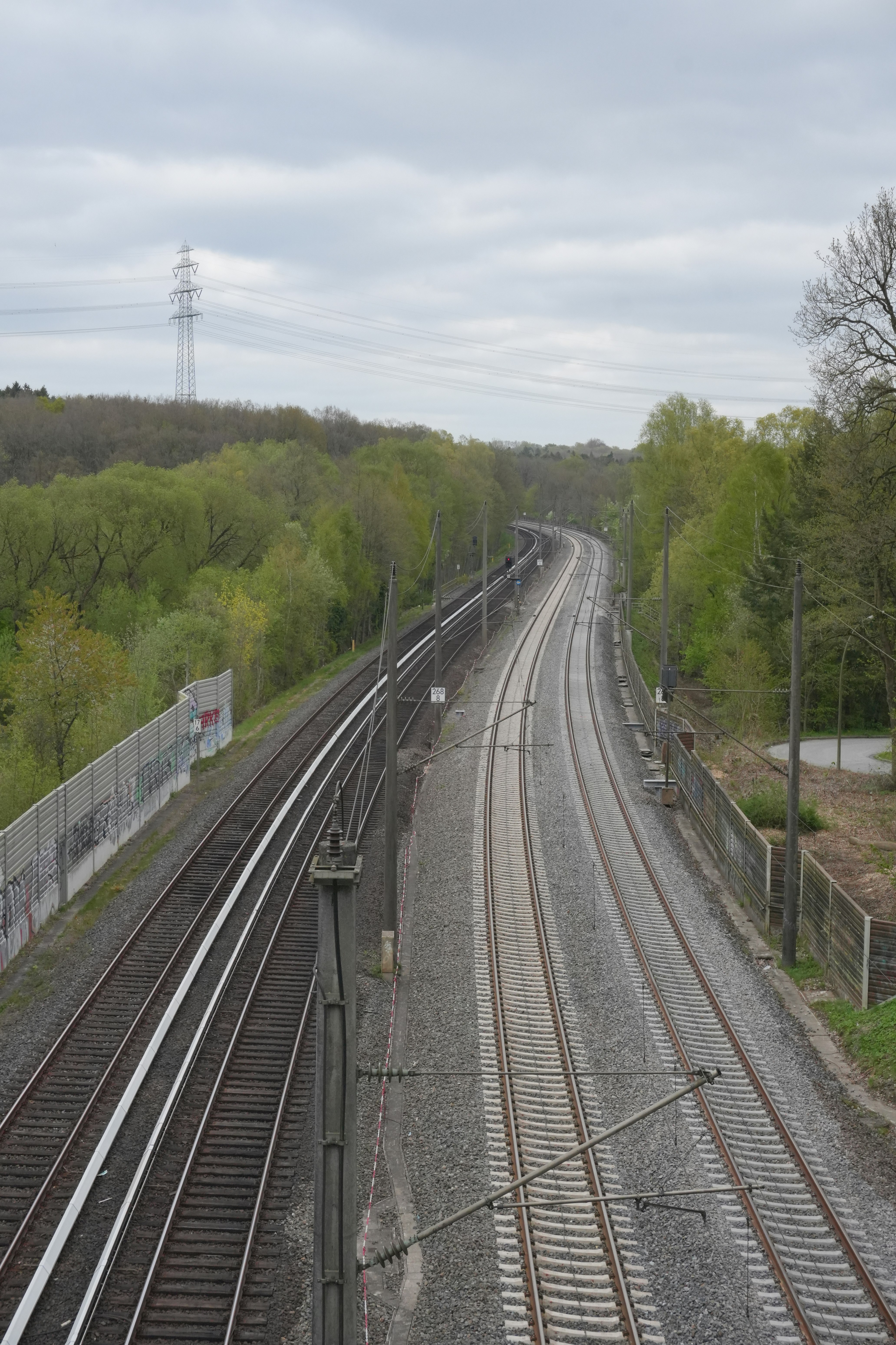 Rails to Tomorrow: A Quiet Descent Through Verdant Locklines