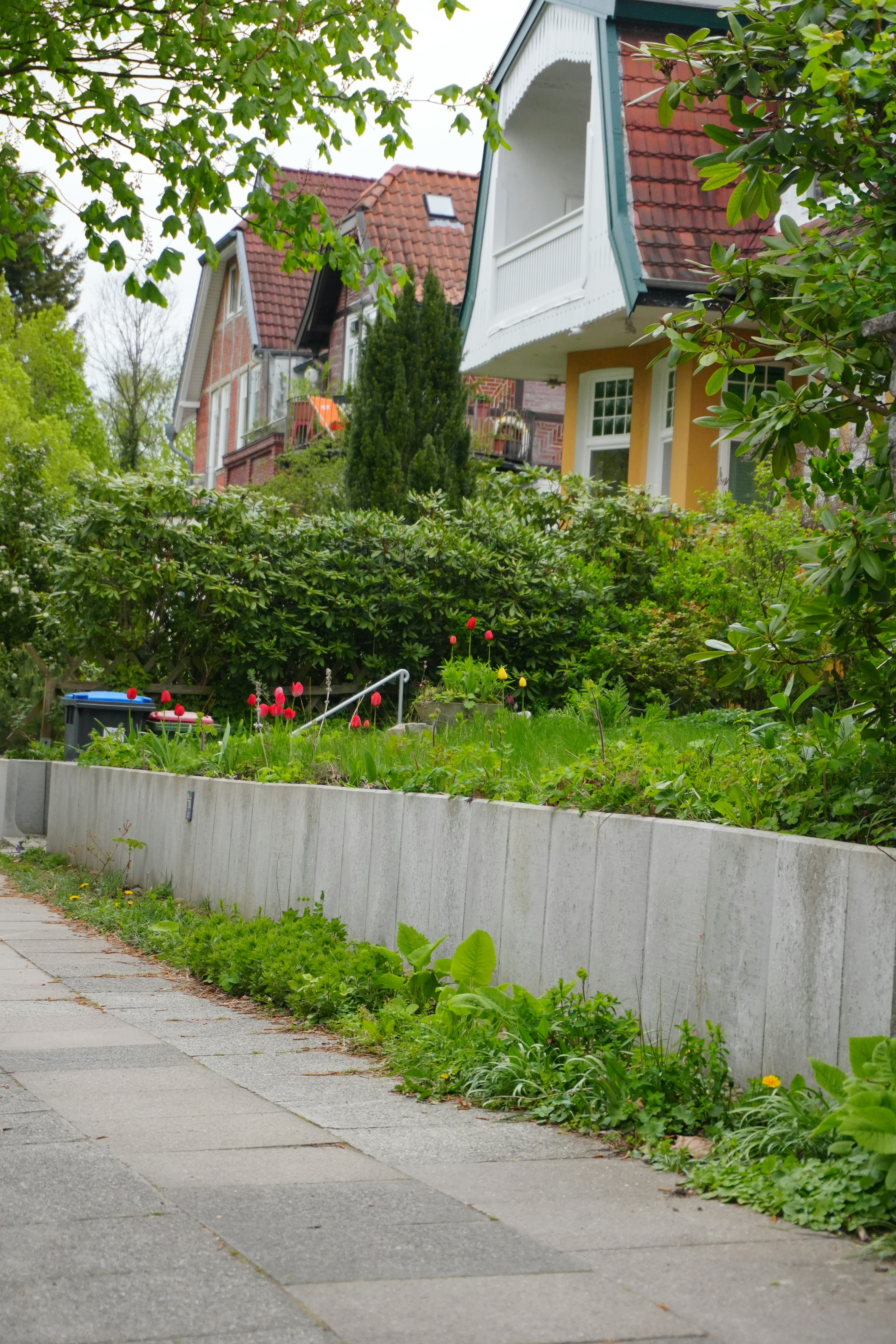 Residential Garden Terrace: A Quiet Street Leading to Colorful Homes