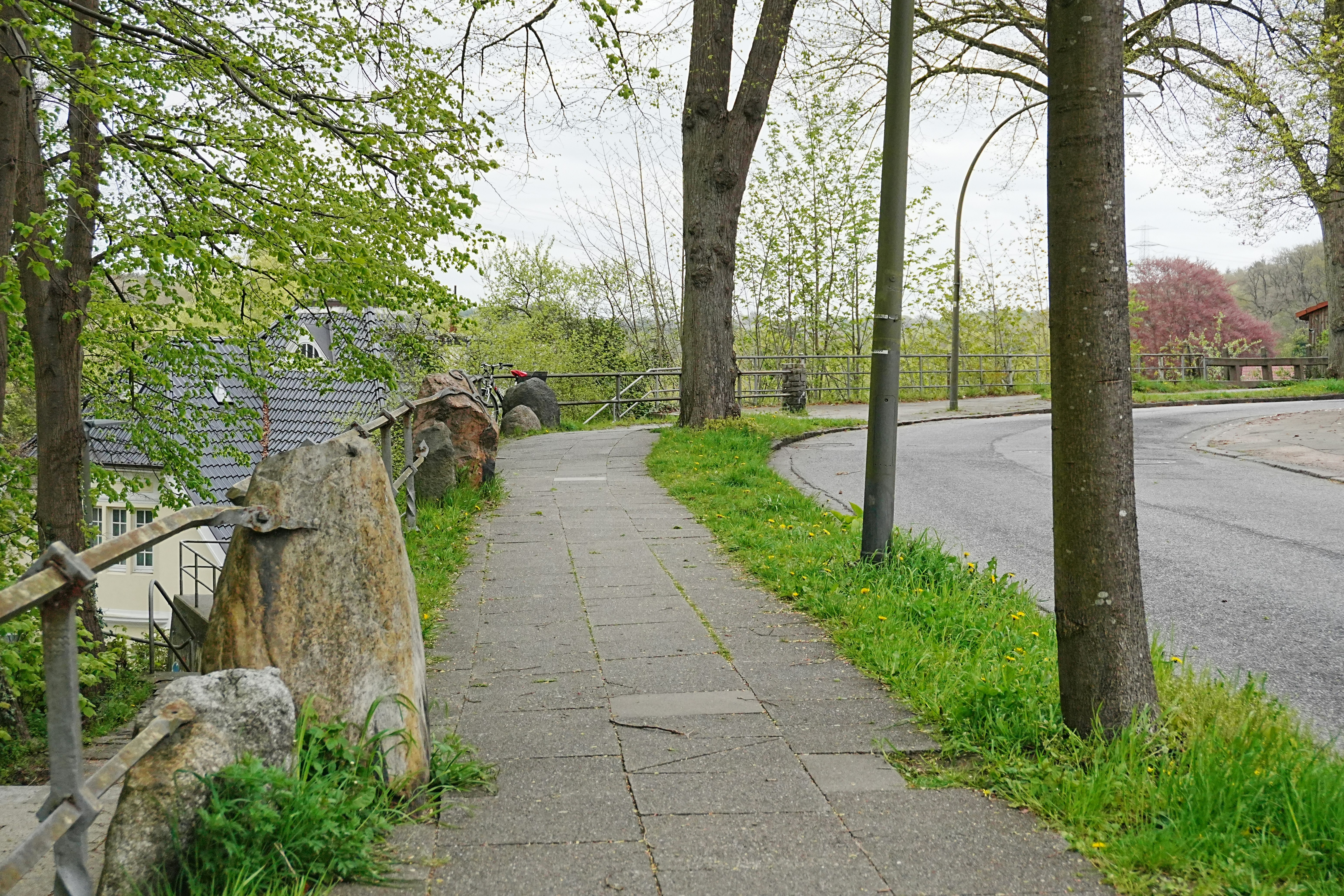 Quiet Riverside Promenade — A Serene Path Through Spring