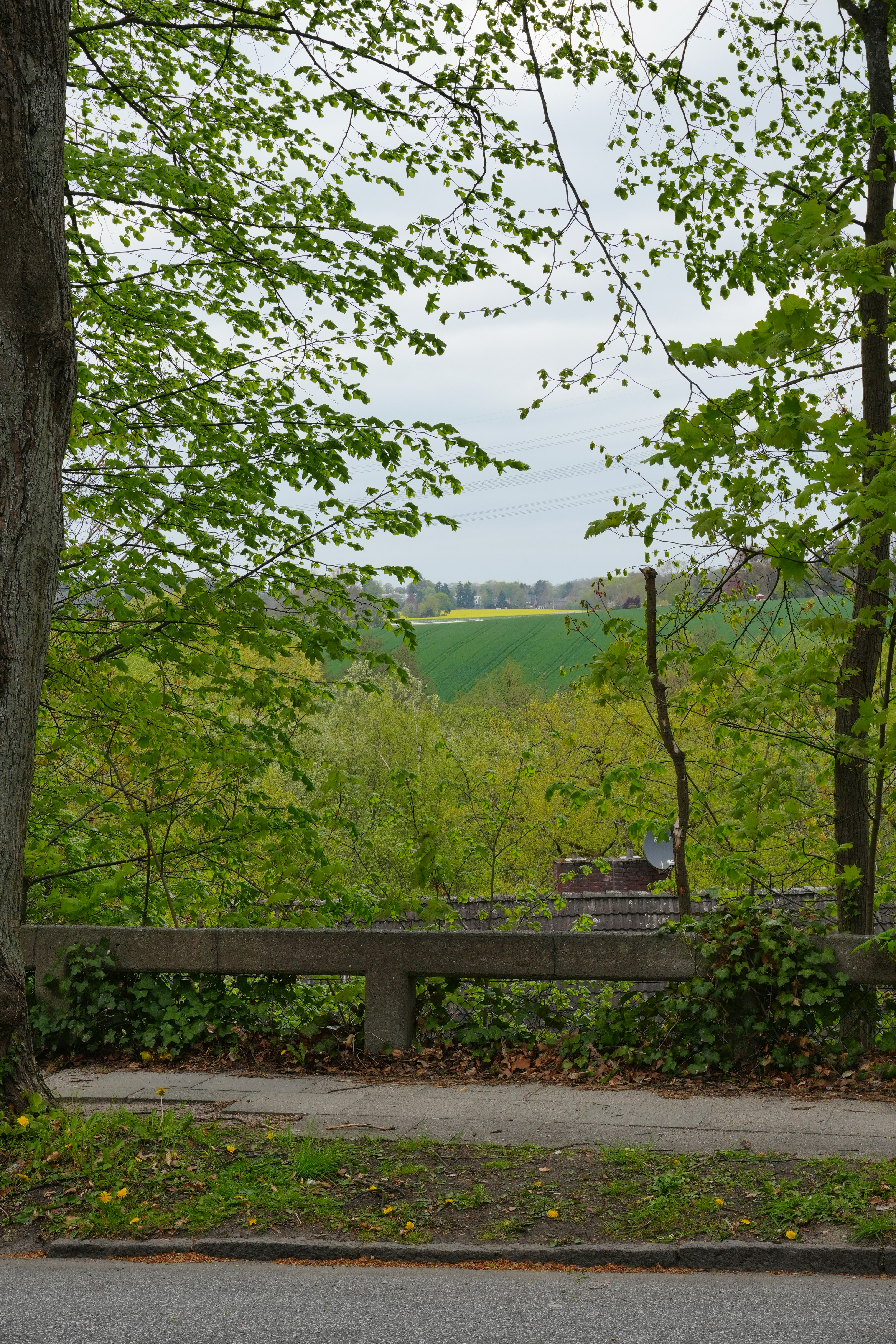 View through the trees to a distant green field beyond a rustic roadside overlook