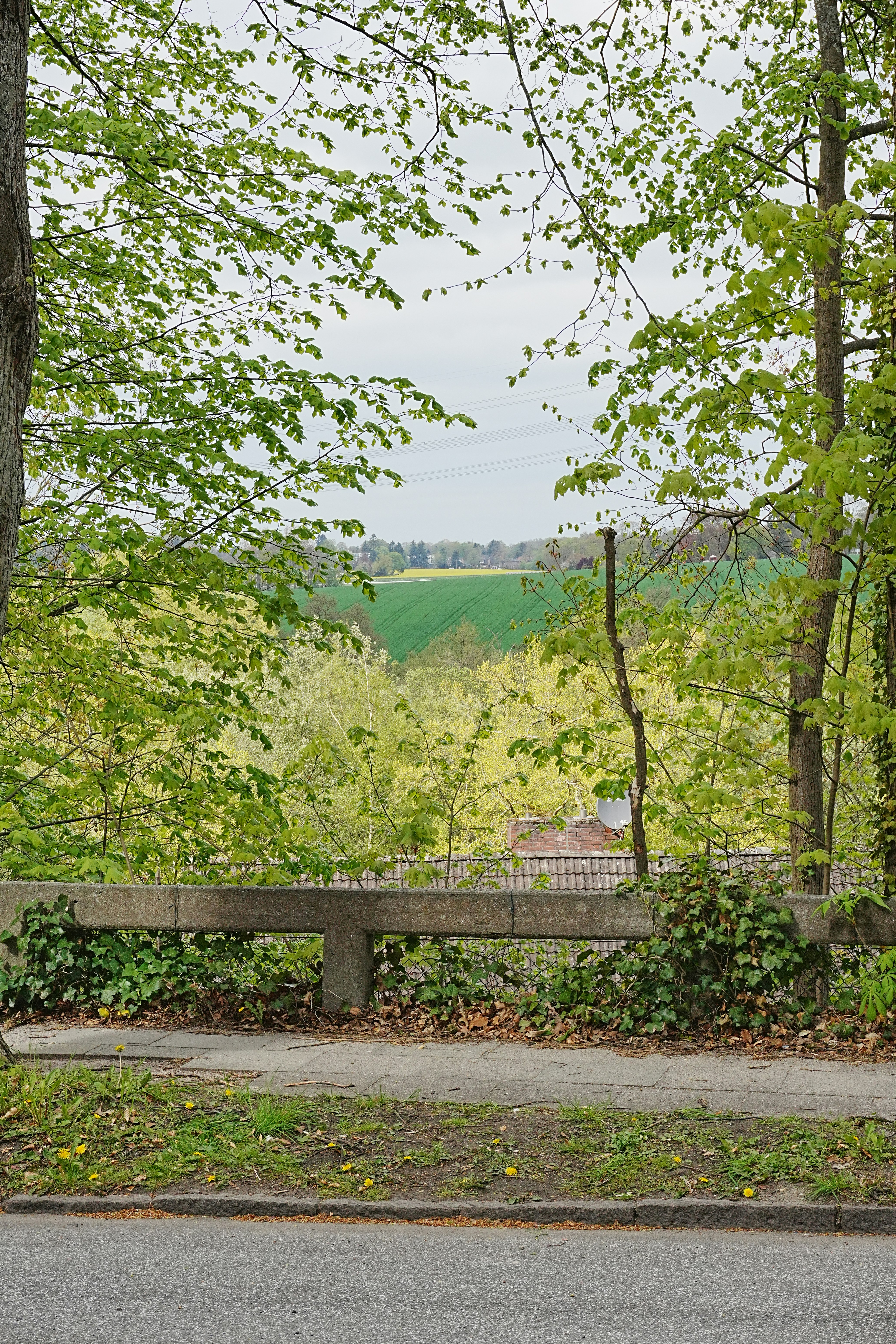 Pathway to Green Horizons: A Quiet View Beyond the Guardrail