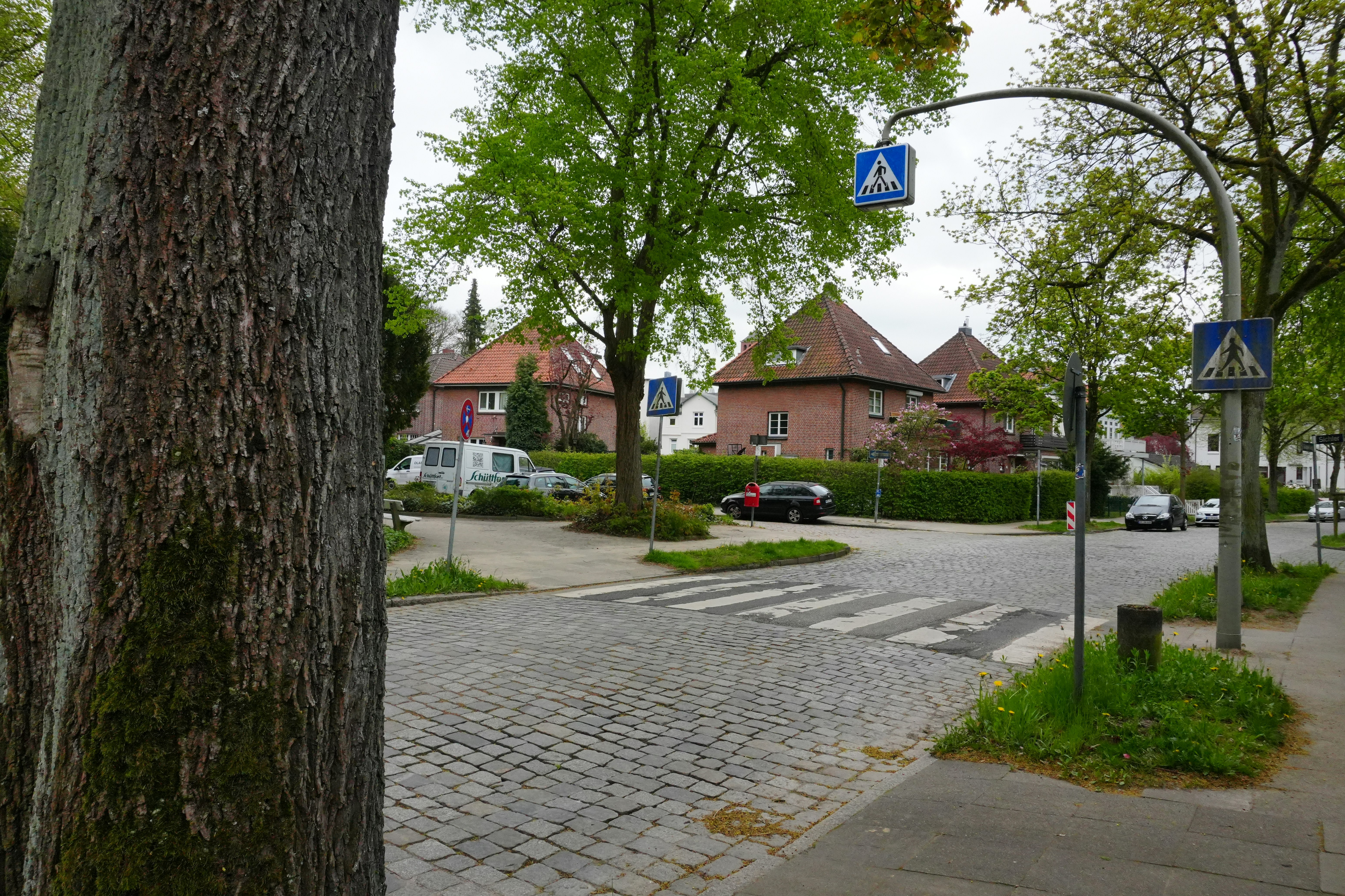 Neighborhood Crossing: Quiet Street, Quiet Confidence