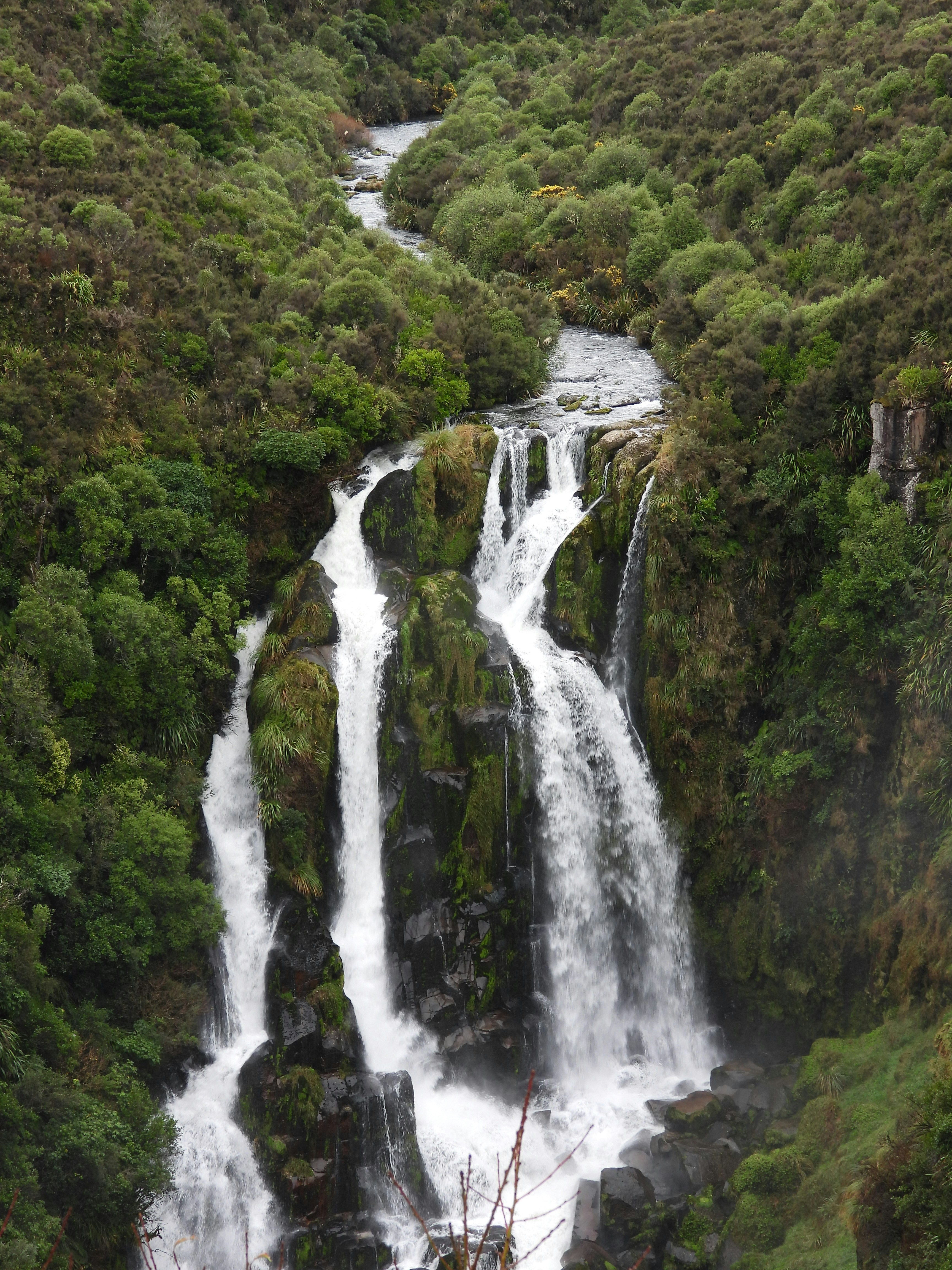 Two cascading waterfalls carve through mossy cliffs amid dense green forest, with mist rising at the base and a rugged canyon below.