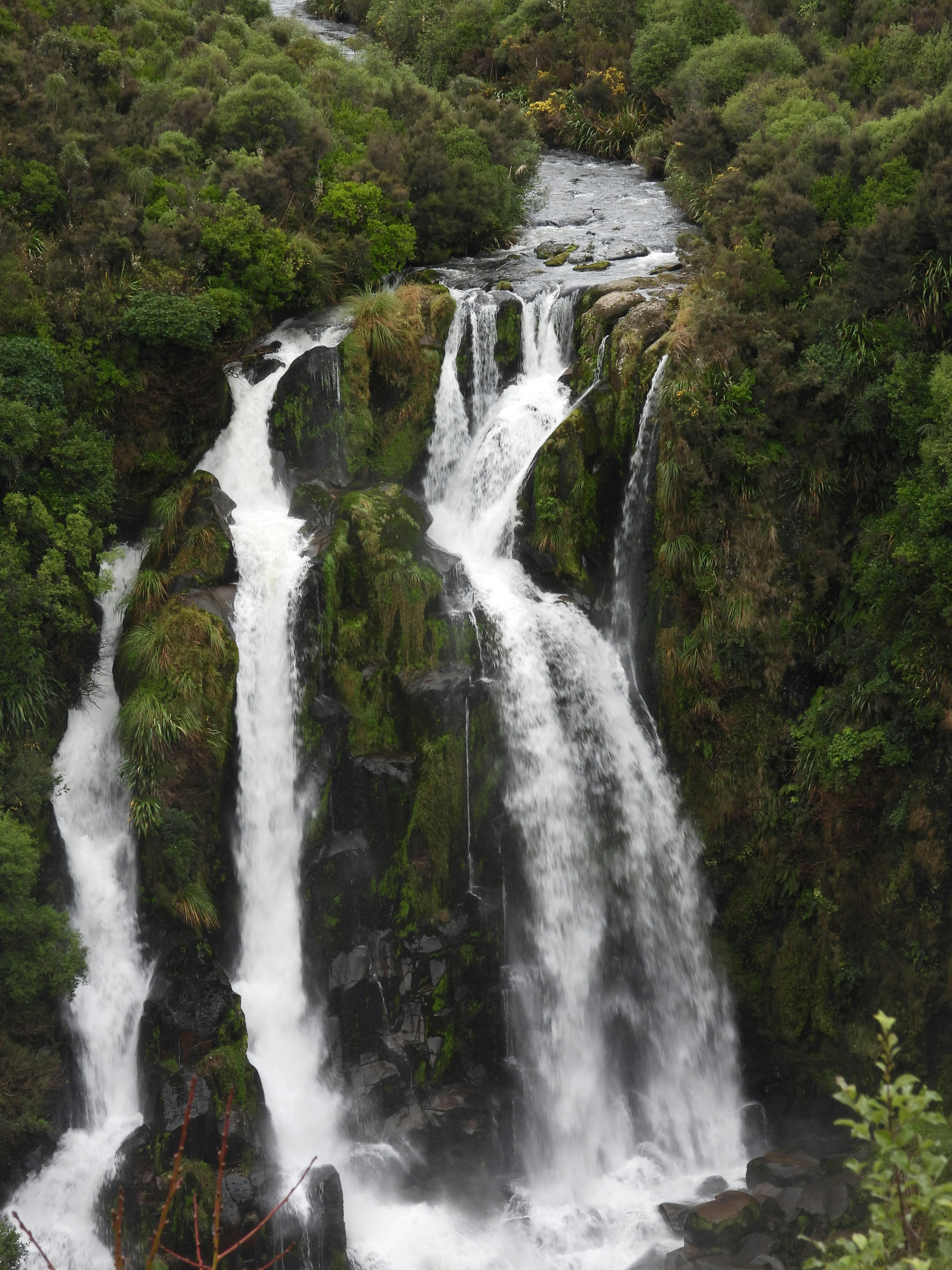 Twin Veils of Green: A Cascade Through Mossy Gorge