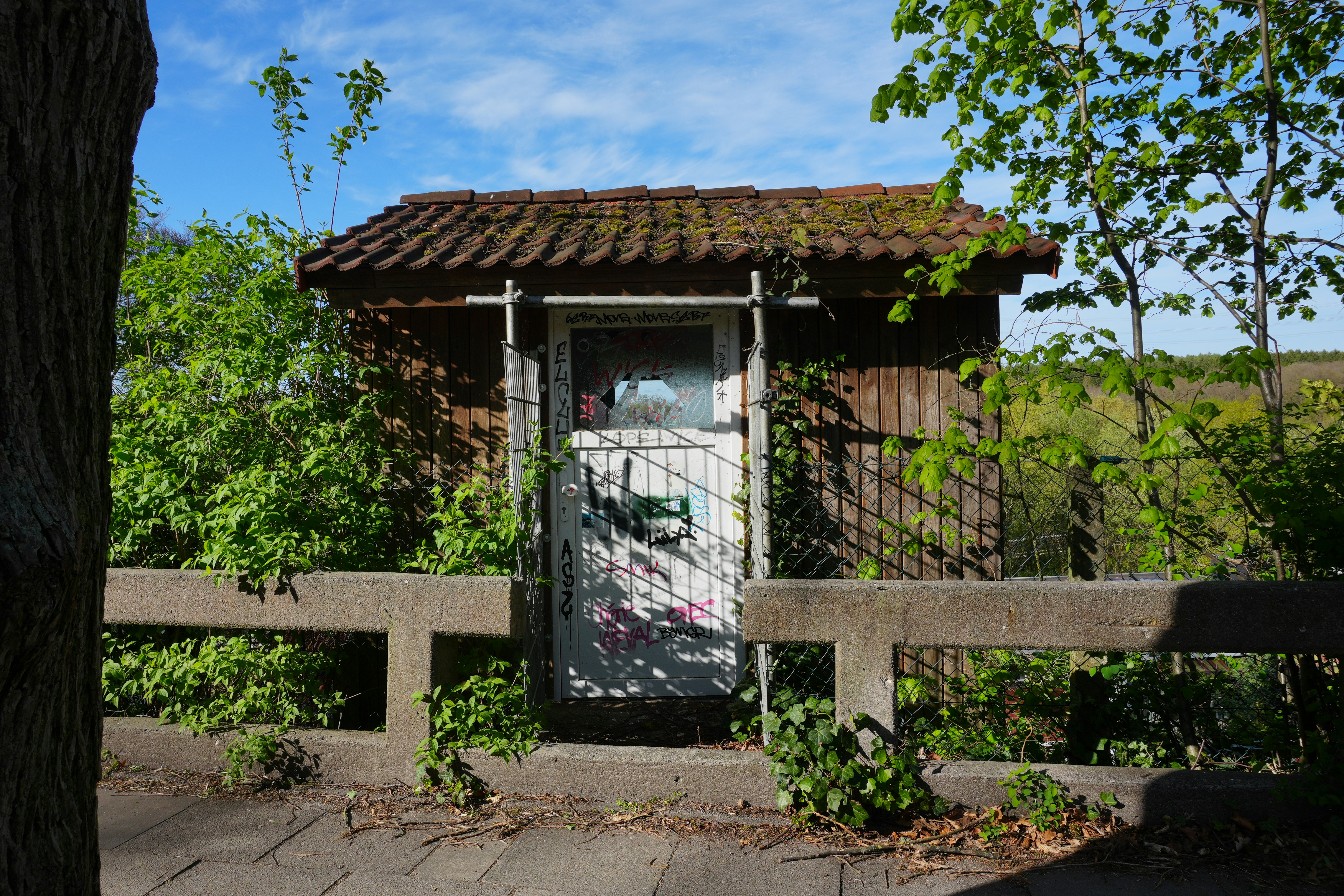 Hidden Shrine in the Rural Cut: A Small Gatehouse Framed by Foliage