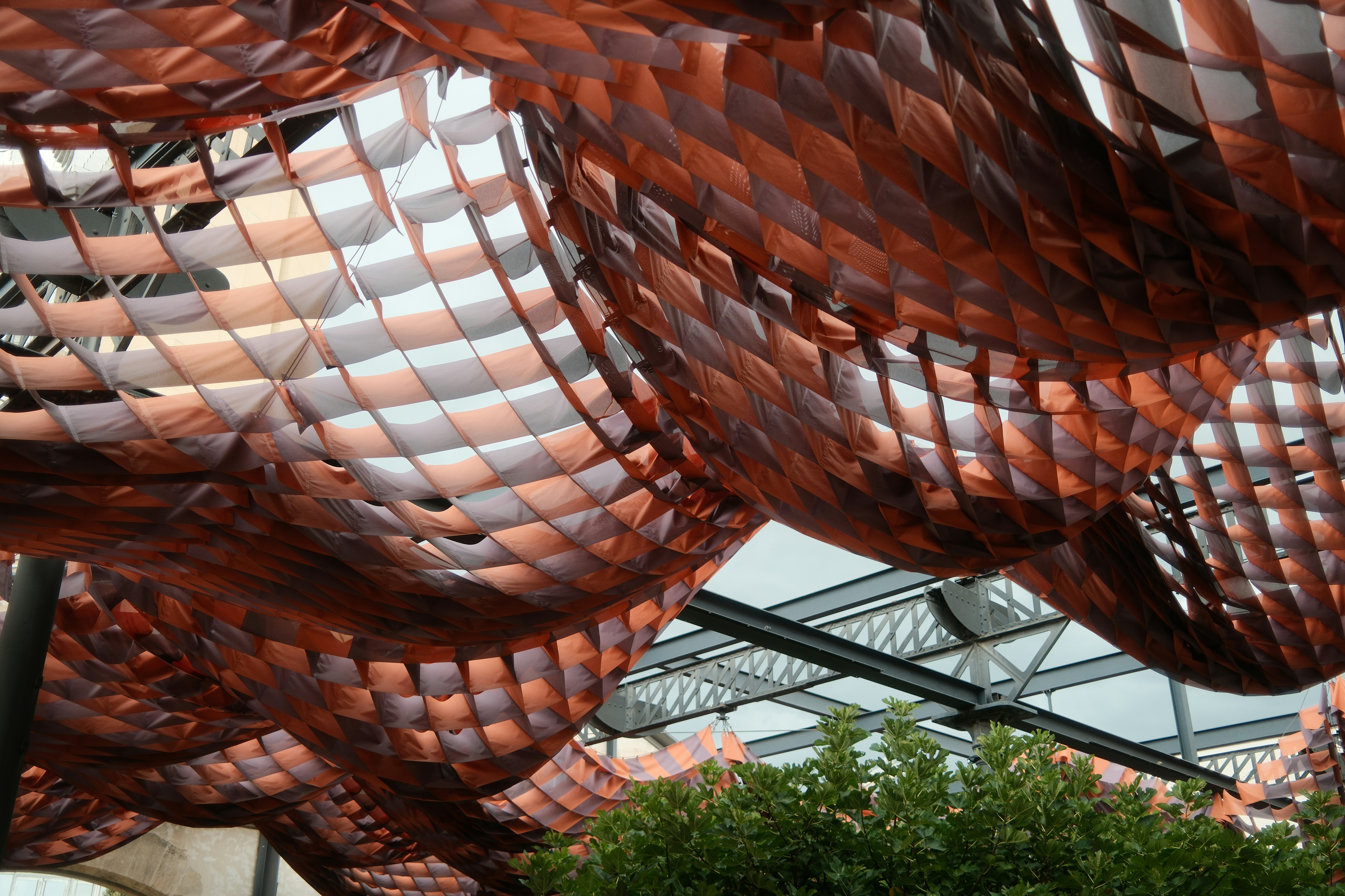 Copper Threads Overhead: A Living Canopy in the Urban Atrium