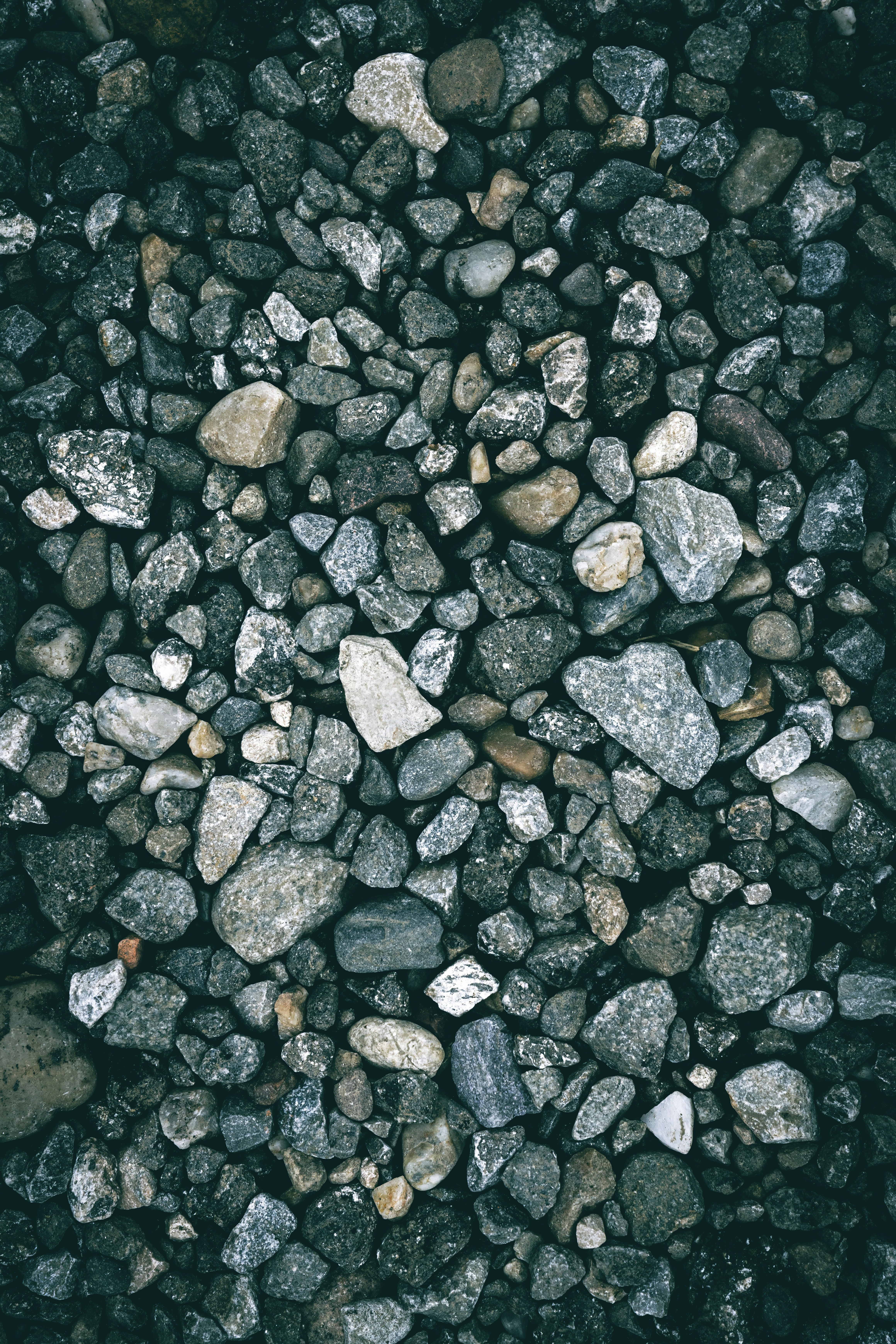 Pebble Cadence: A Close-Studied Field of Gravel