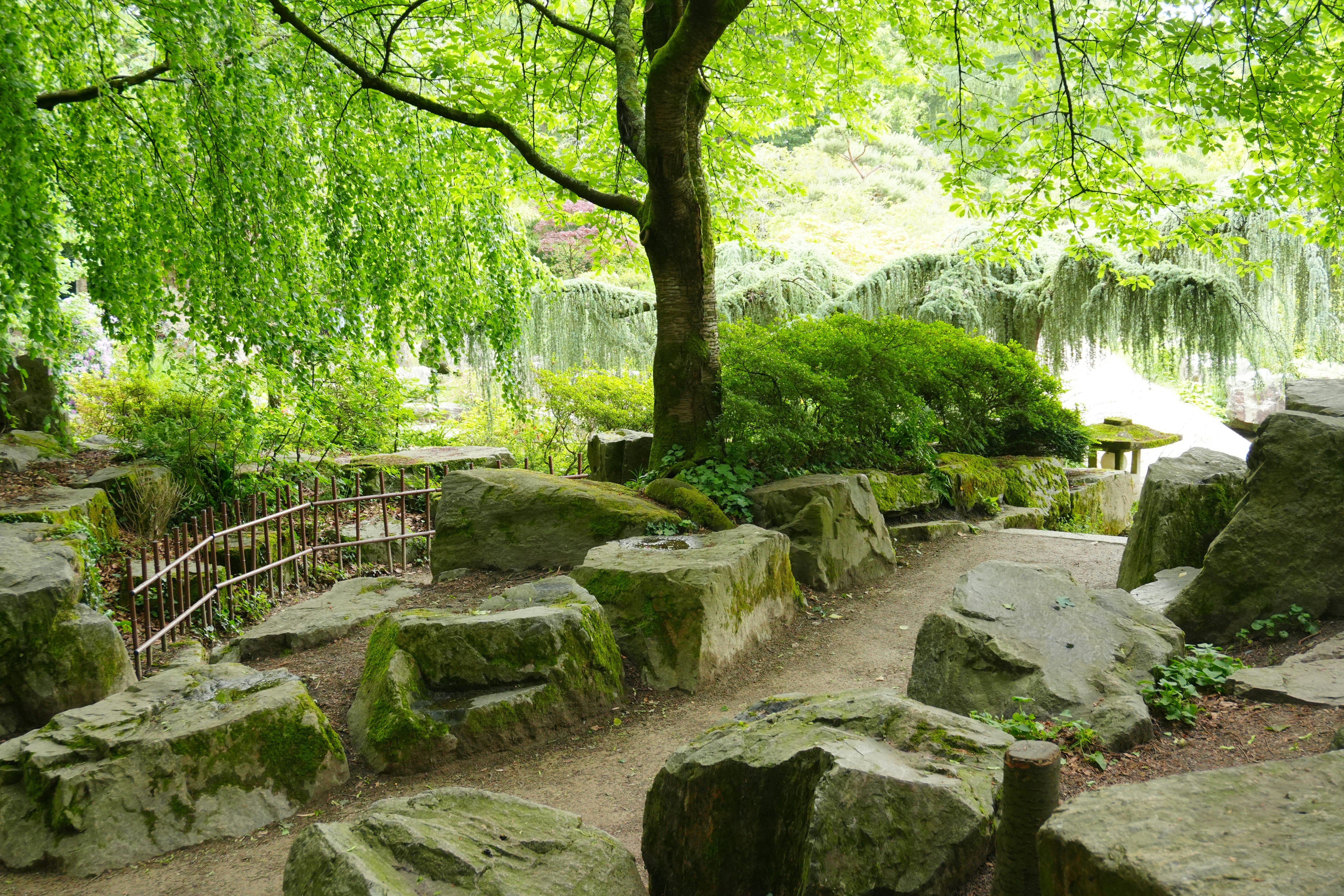Verdant Stones and a Quiet Pathway in a Tranquil Japanese Garden