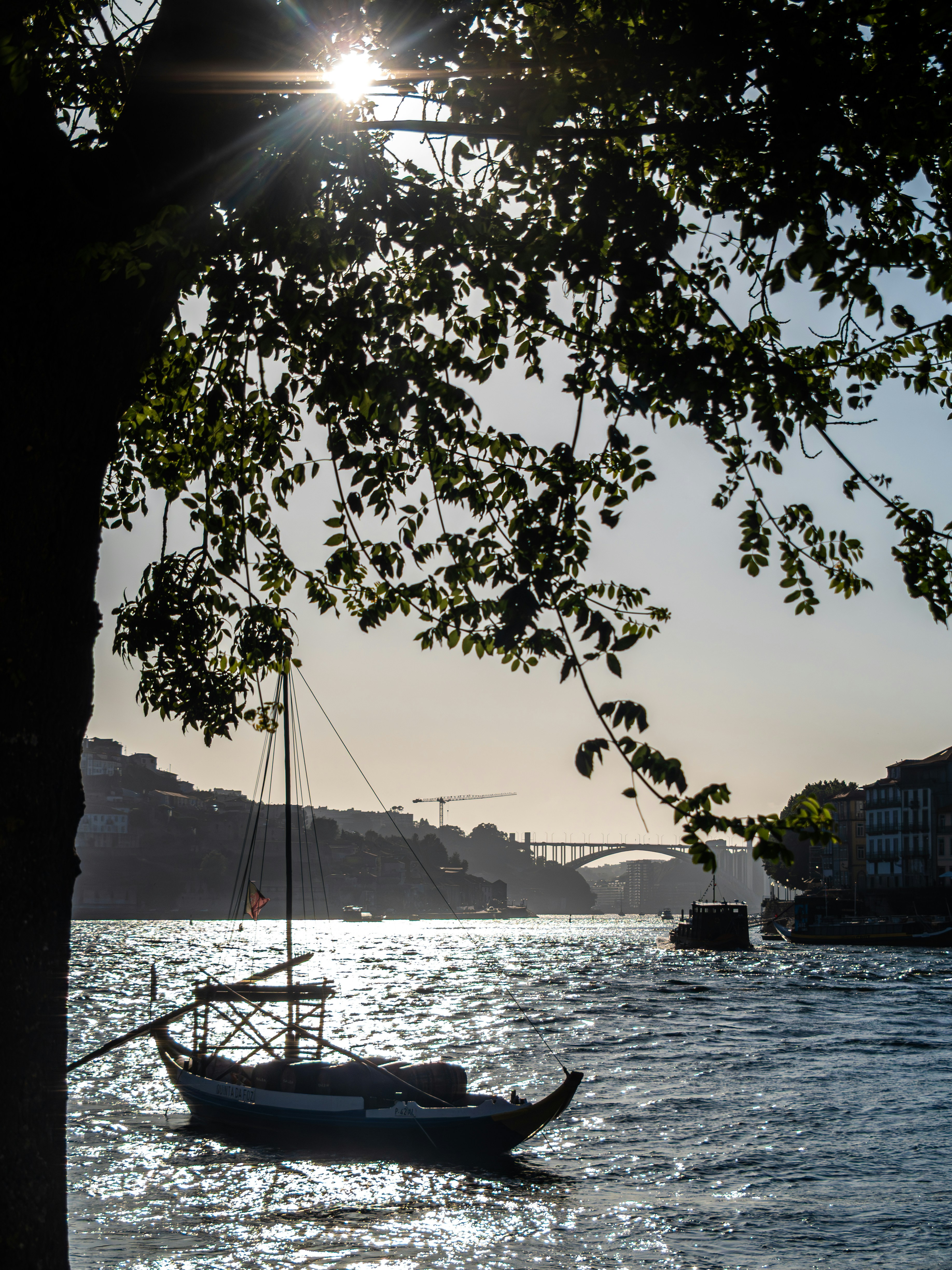 Sunlit Sloop: A Boat Quietly Rests on a Glimmering River