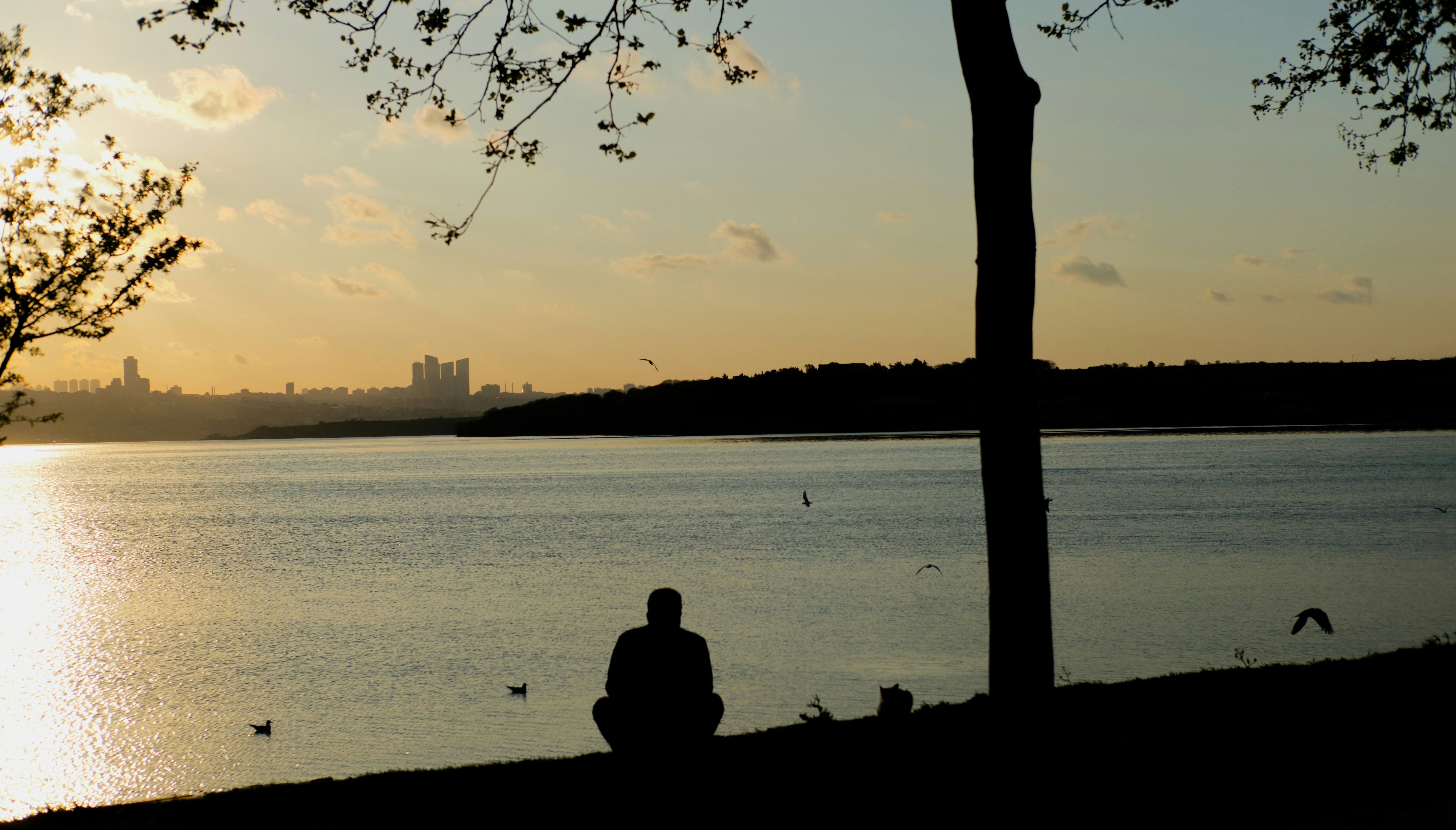 Silhouette by the Shore: A Quiet Moment at Sunset
