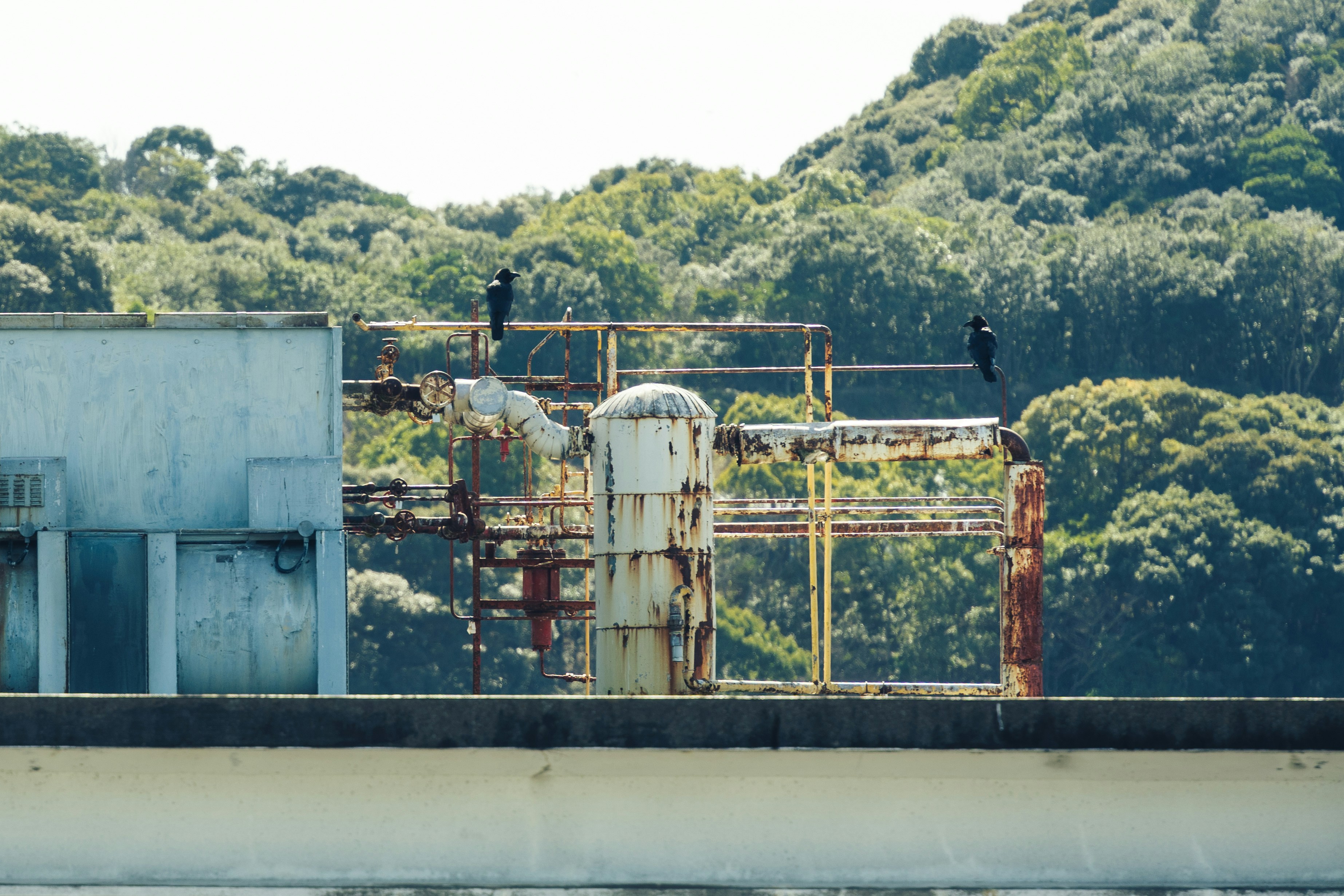 Rusted platform under a bright sky, harboring two perched birds