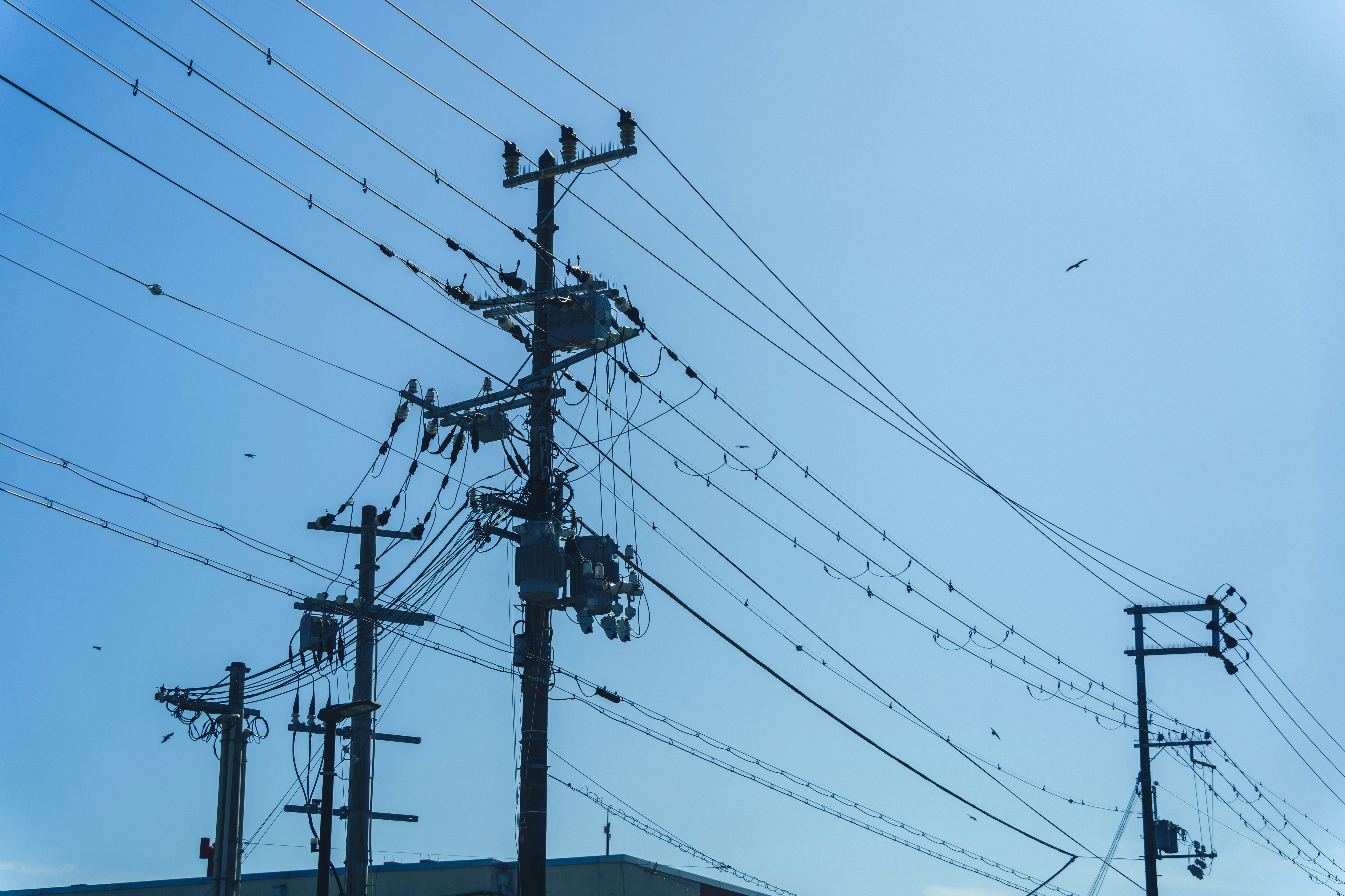 Silhouetted Utility Chorus: A Skyward Web of Wires