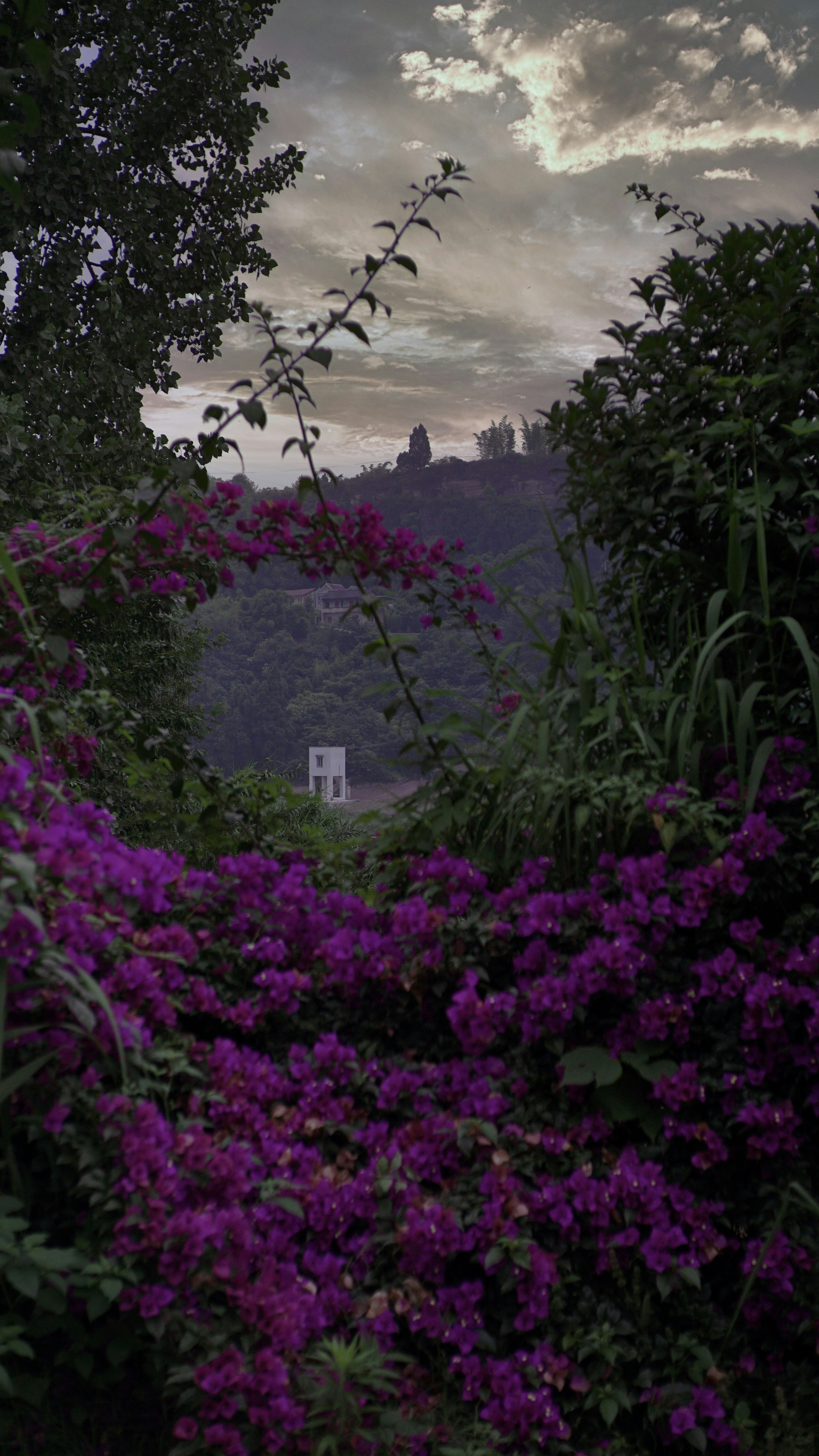 Vivid purple flowers create a lush foreground that opens to a distant architectural monument against rolling hills and a cloudy sky.