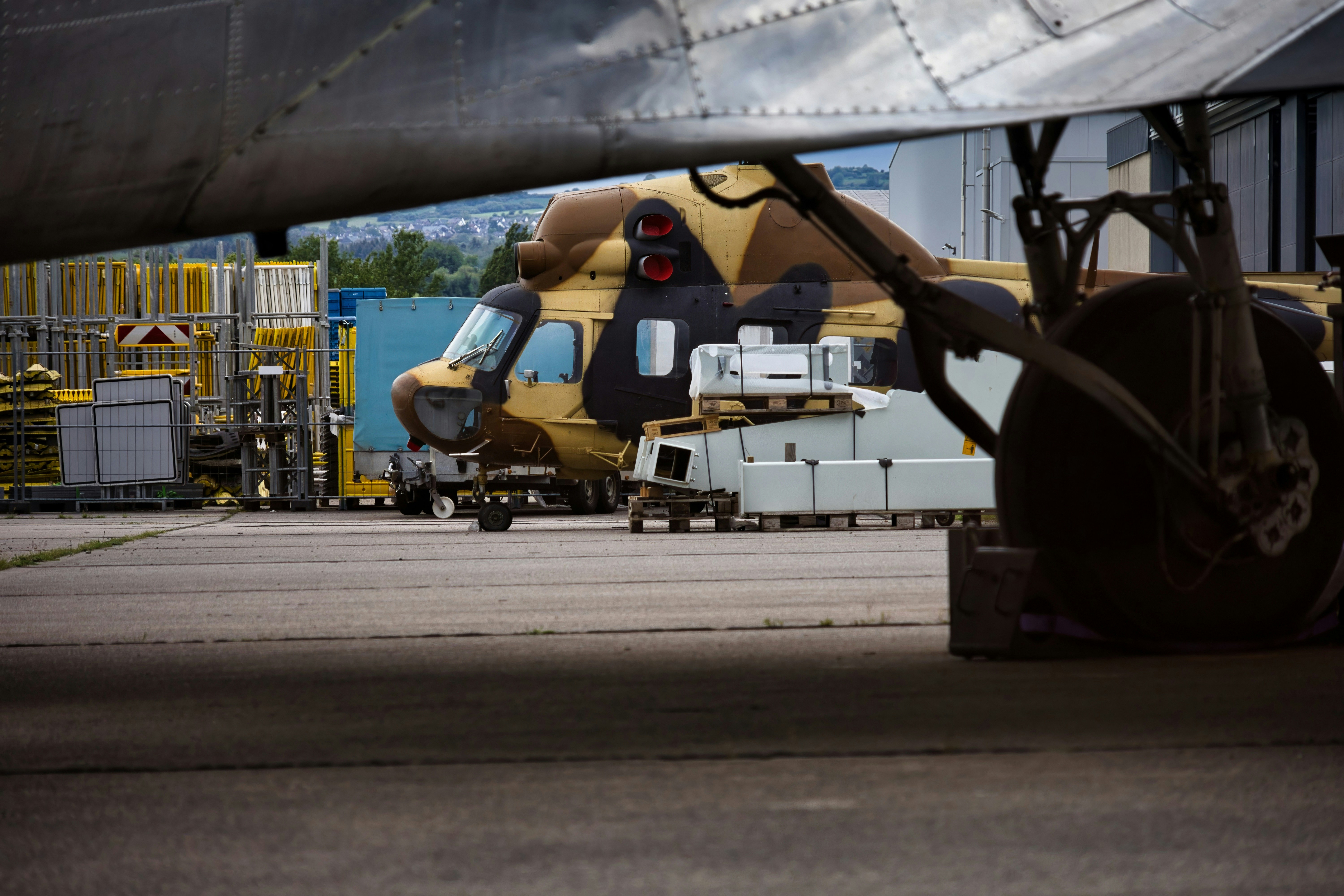 Quiet Bay Fortitude: A Nose-to-Tail View Under Wing