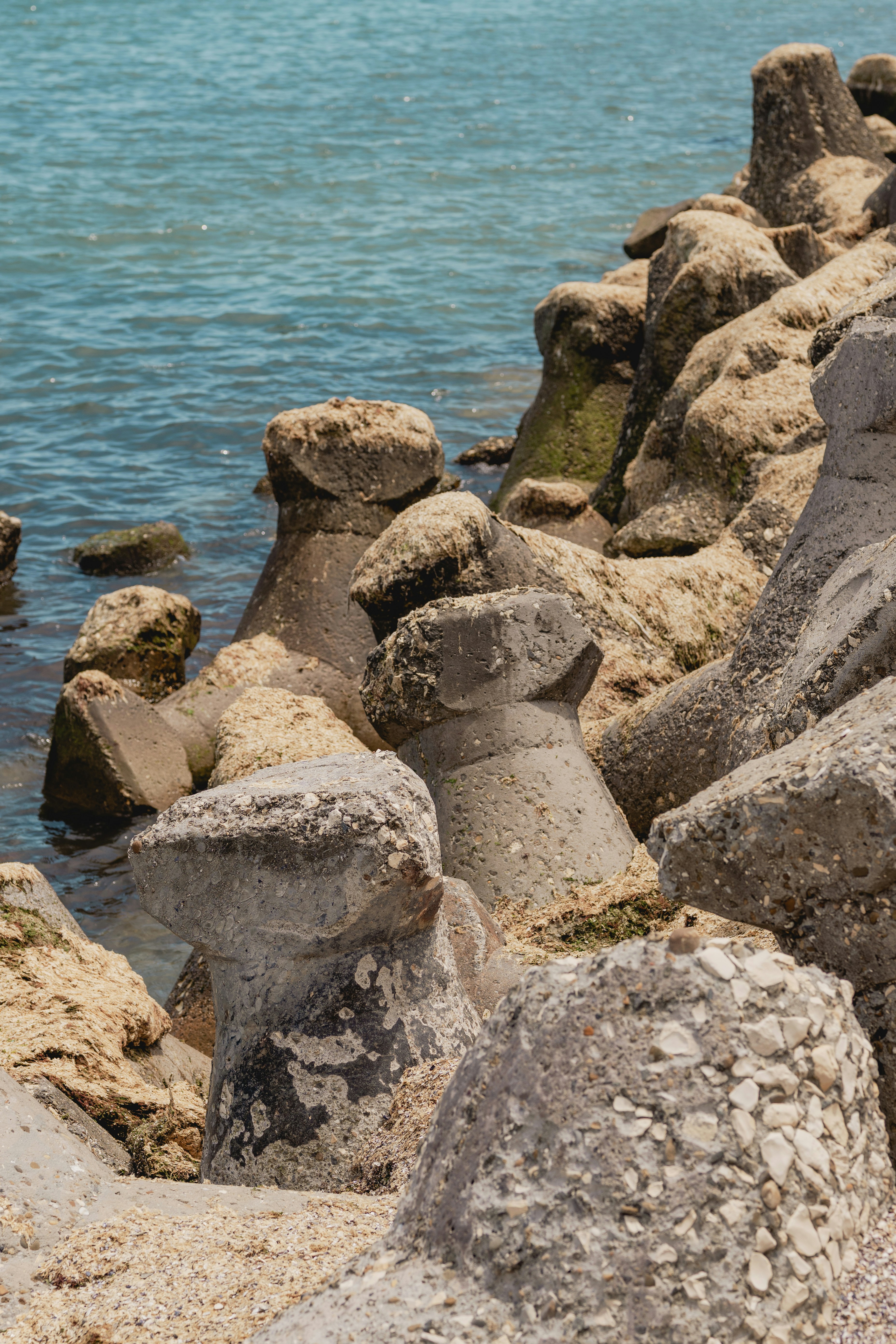 Stone Sculptures by the Sea: Weathered Basaltiforms Along a Quiet Shore