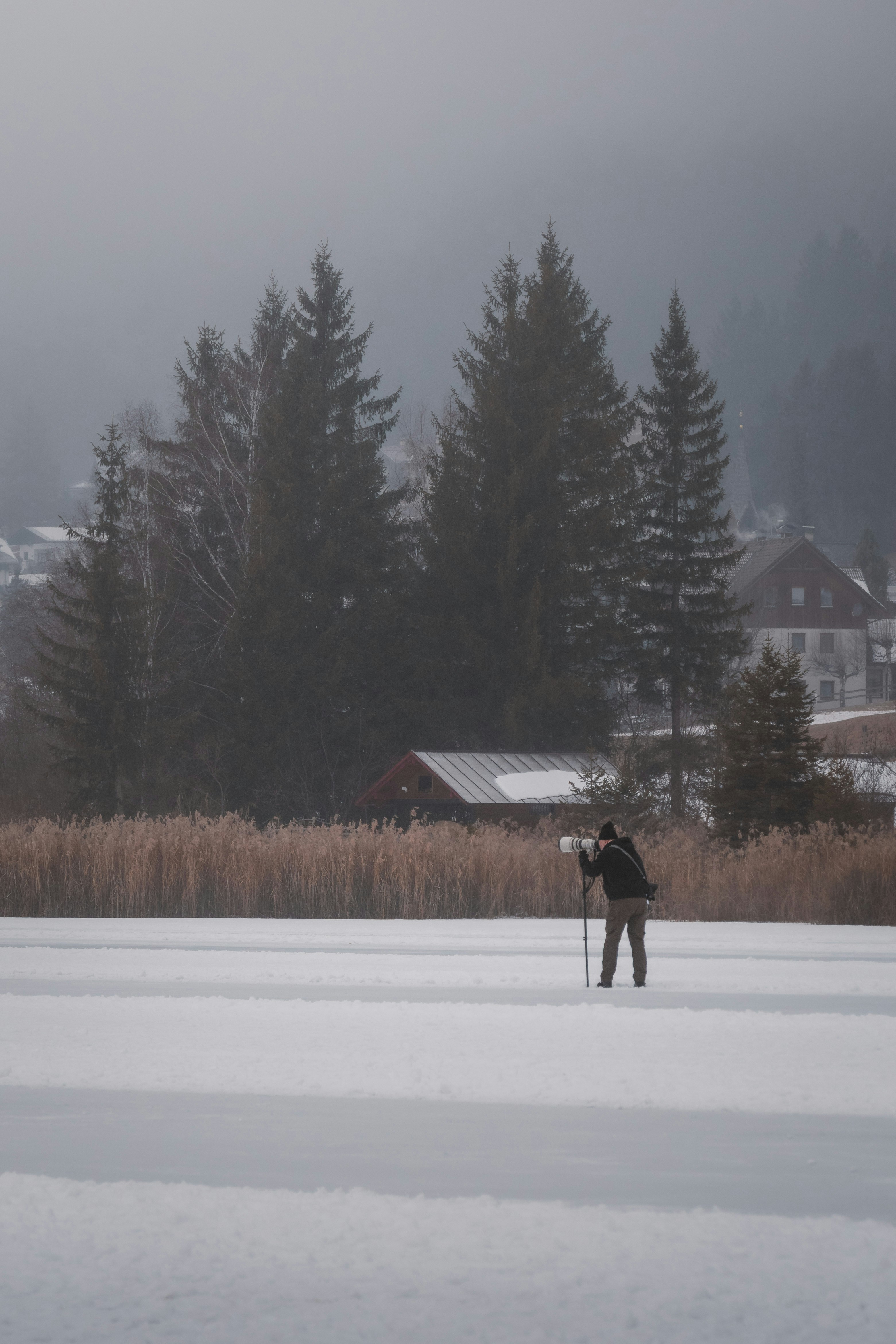 Lens in Focus: Winter Stillness with a Snowbound Telephoto