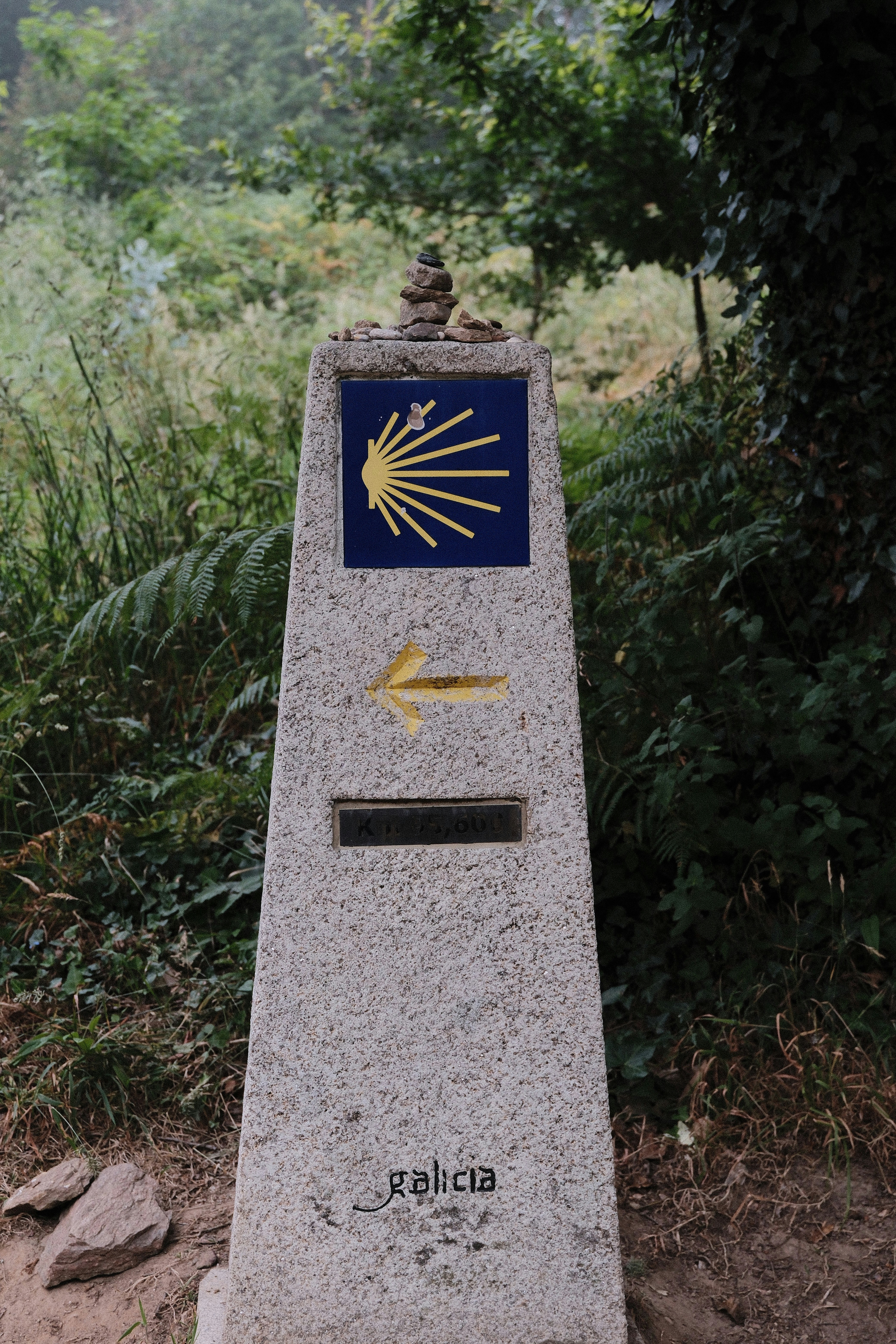 Waymarker to Santiago: A Stone Pillar with Shell Icon on a Forest Path
