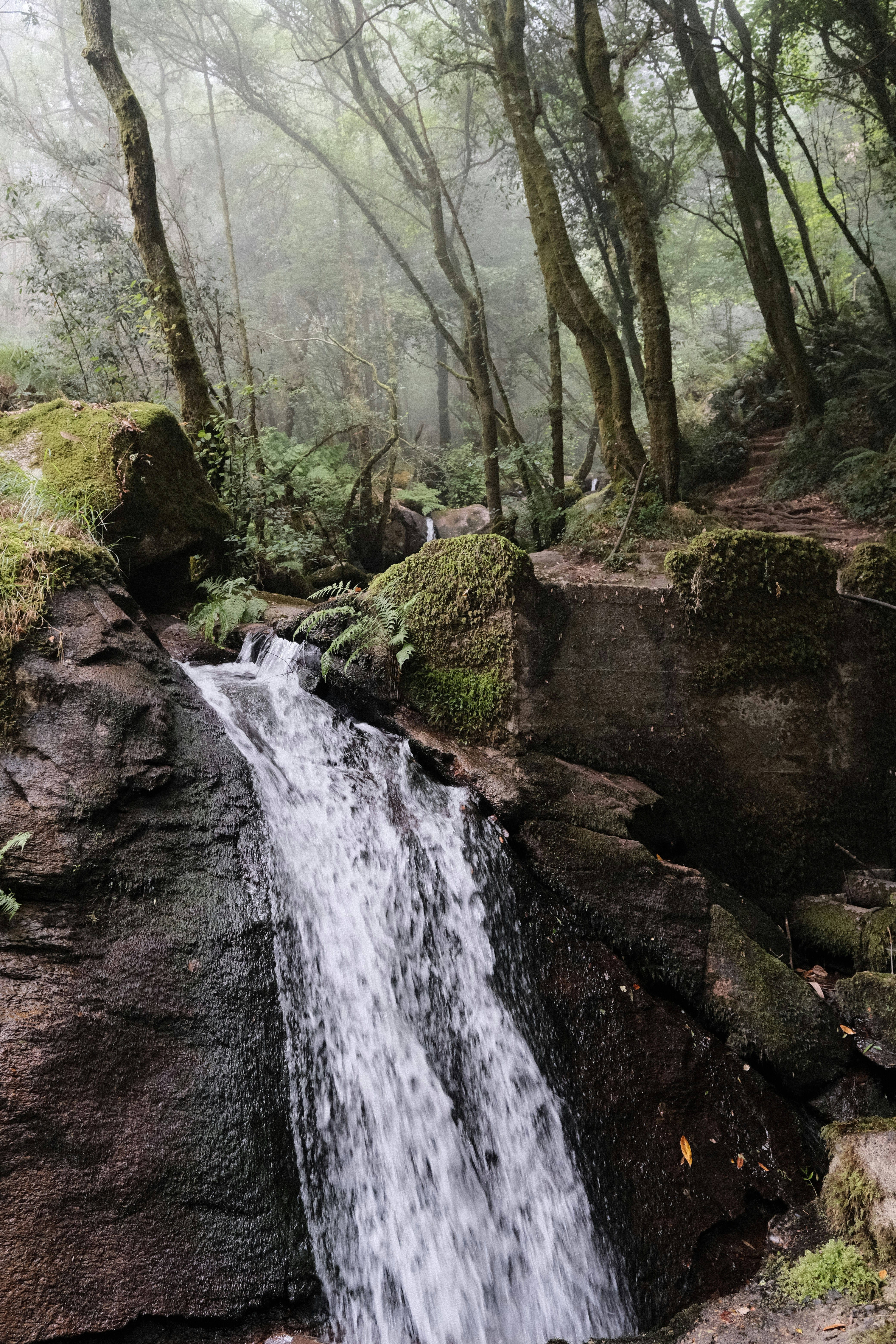 Mossy Cliff Cascade in Soft Forest Mist