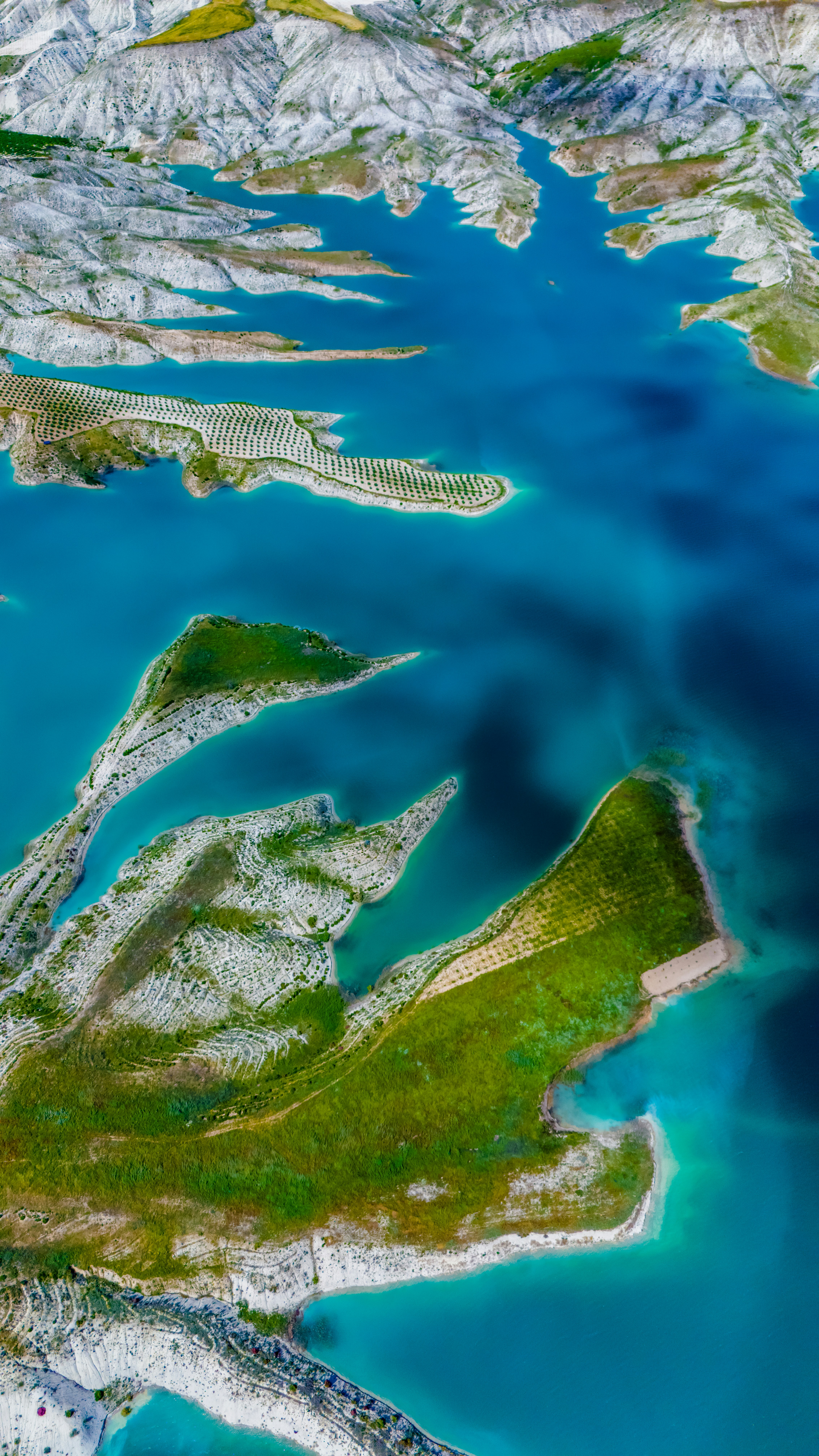Aerial Azure: Serpentine Inlet Carves Through Alpine Blue Waters
