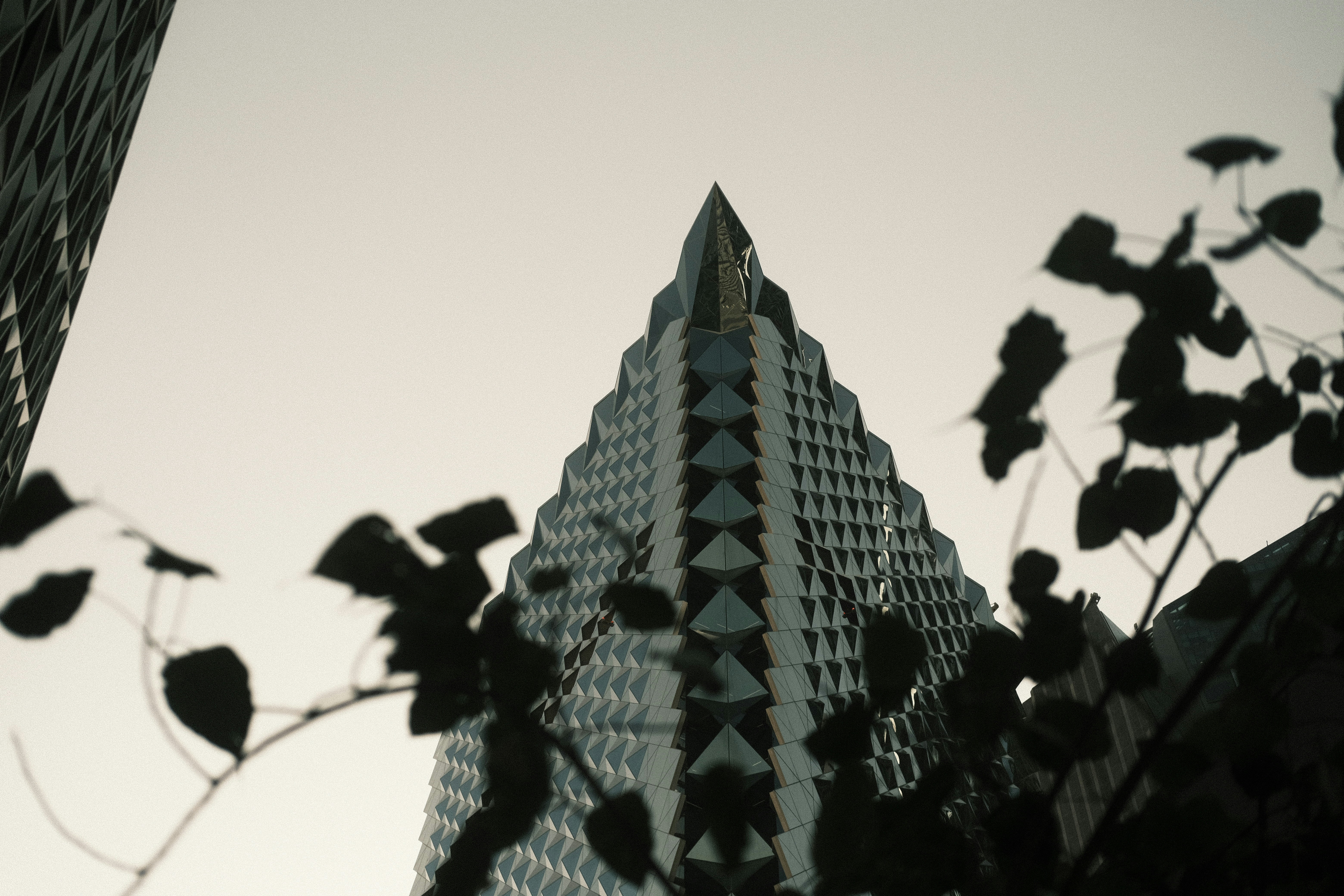 Architectural Peak: A Diagonal Skyward Perspective