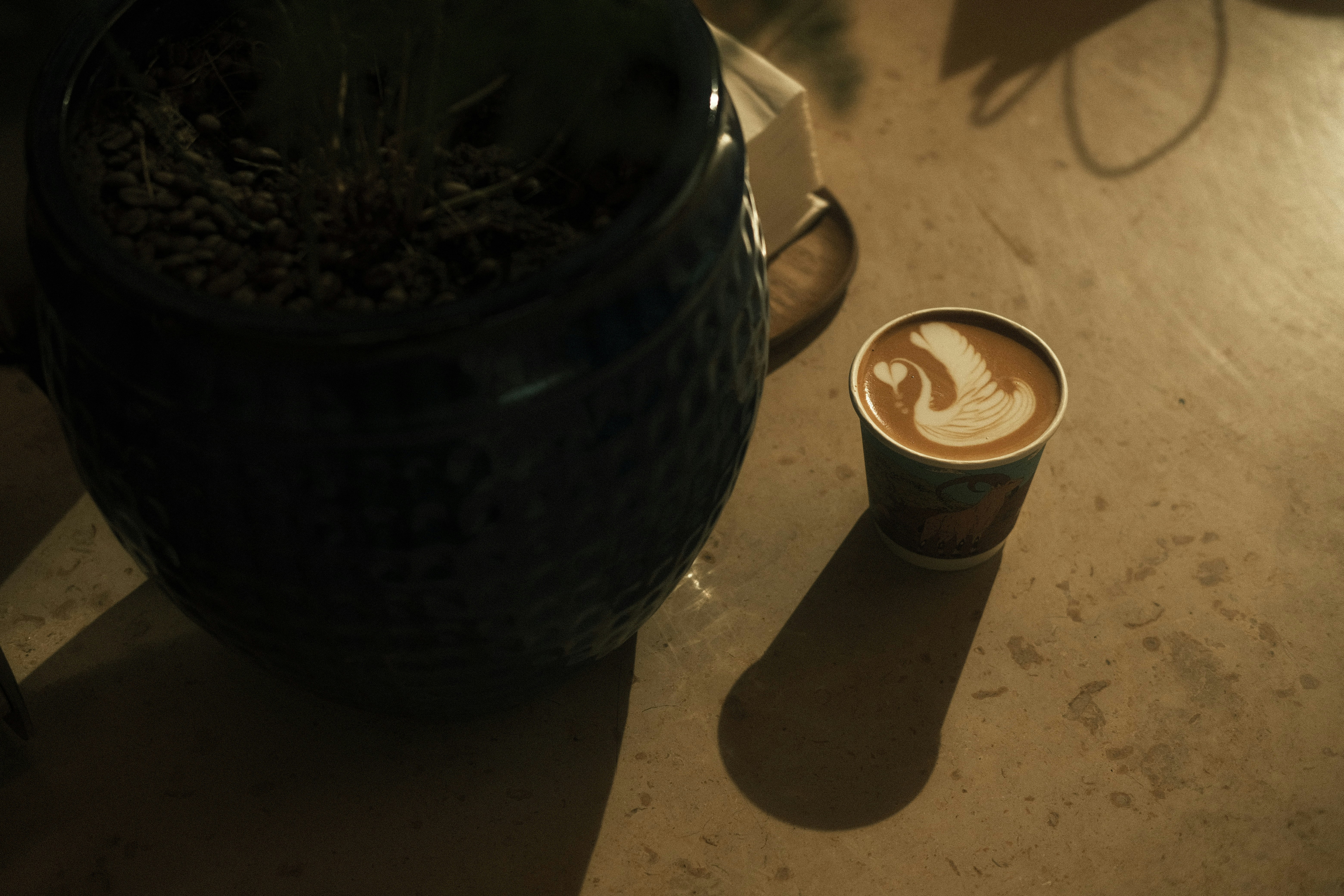 Tea Cup and Plant in Warm Sunlight