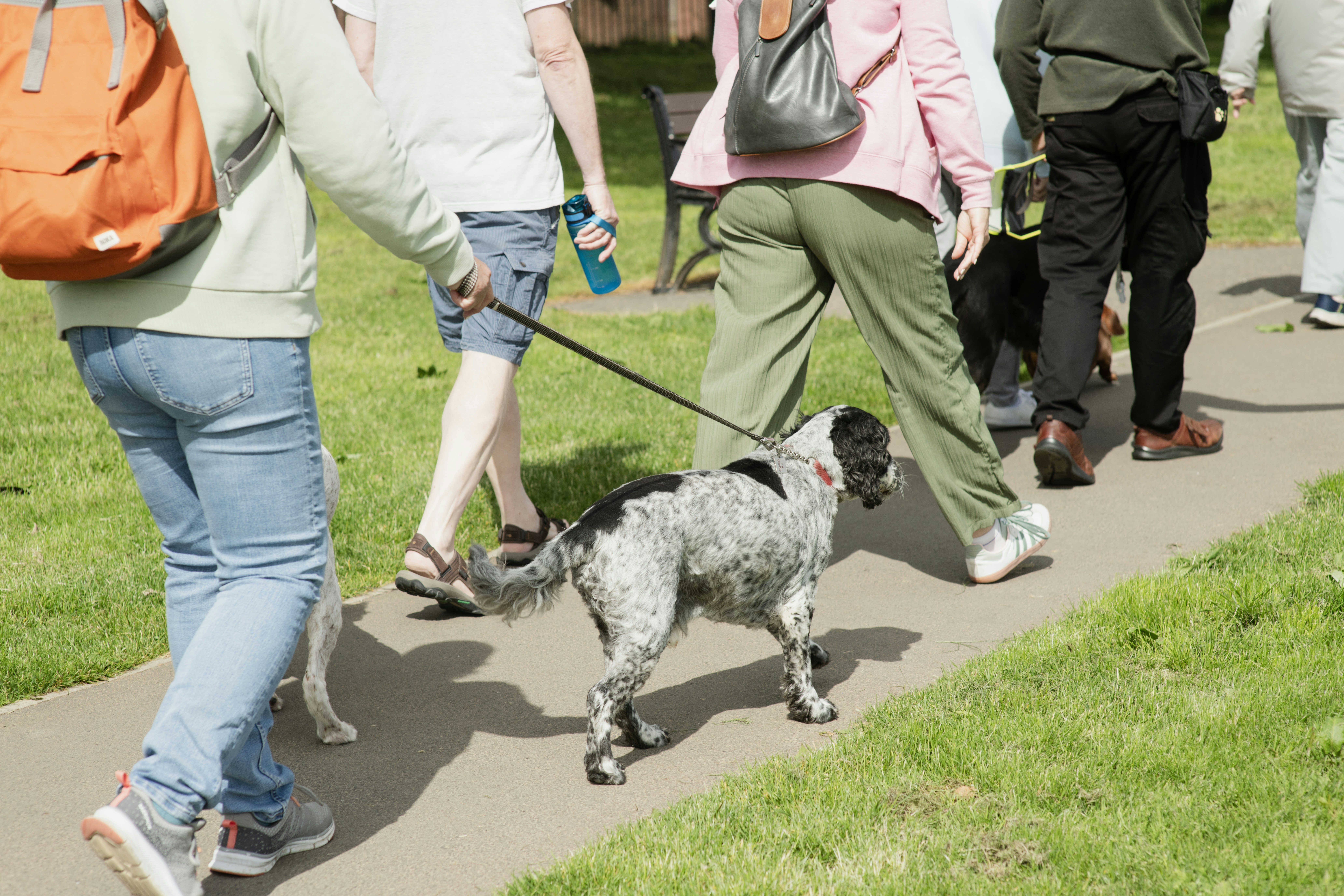 People and a dog walking on a paved path.
