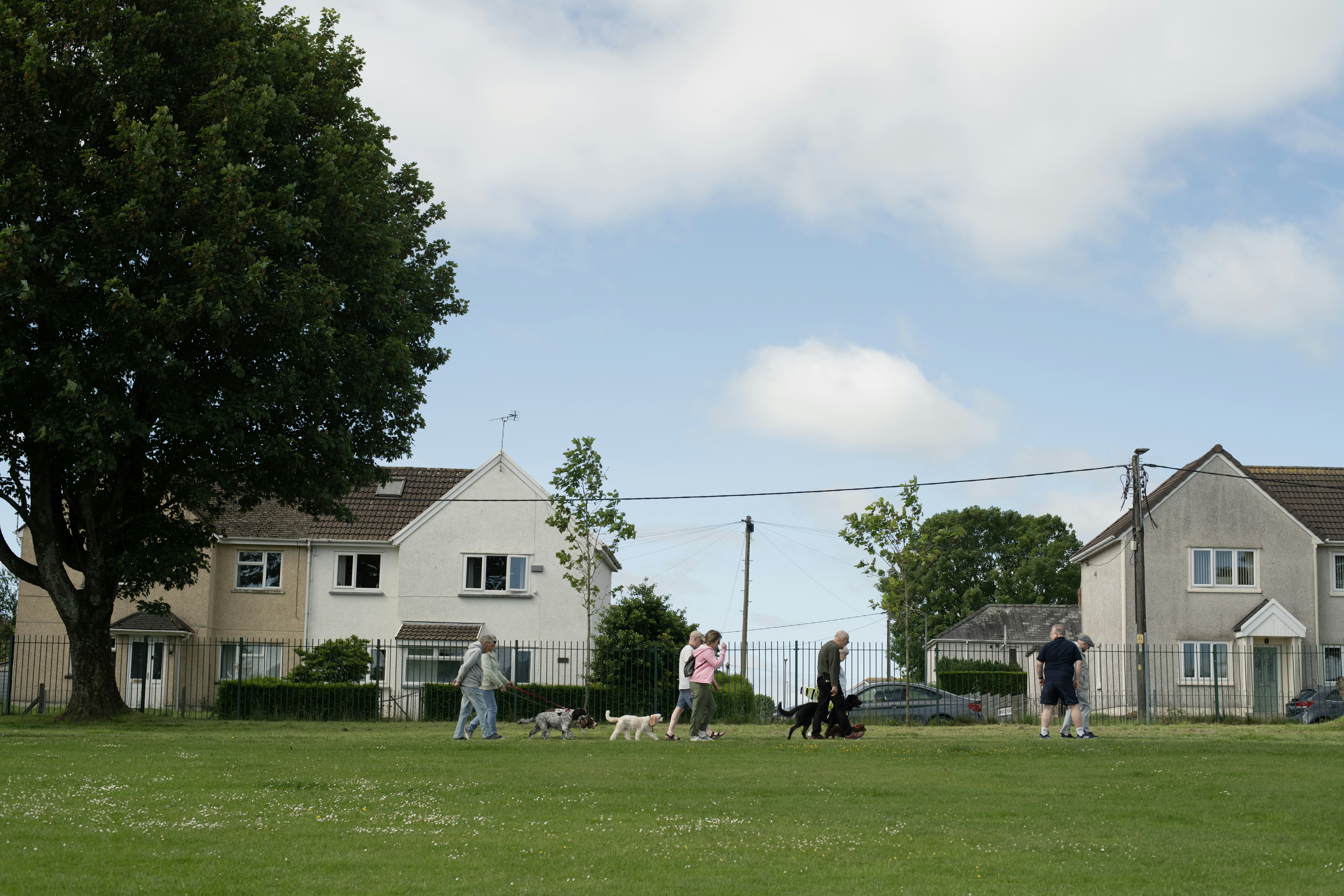 Calm Car-Free Afternoon: Family Walk Across a Green Park
