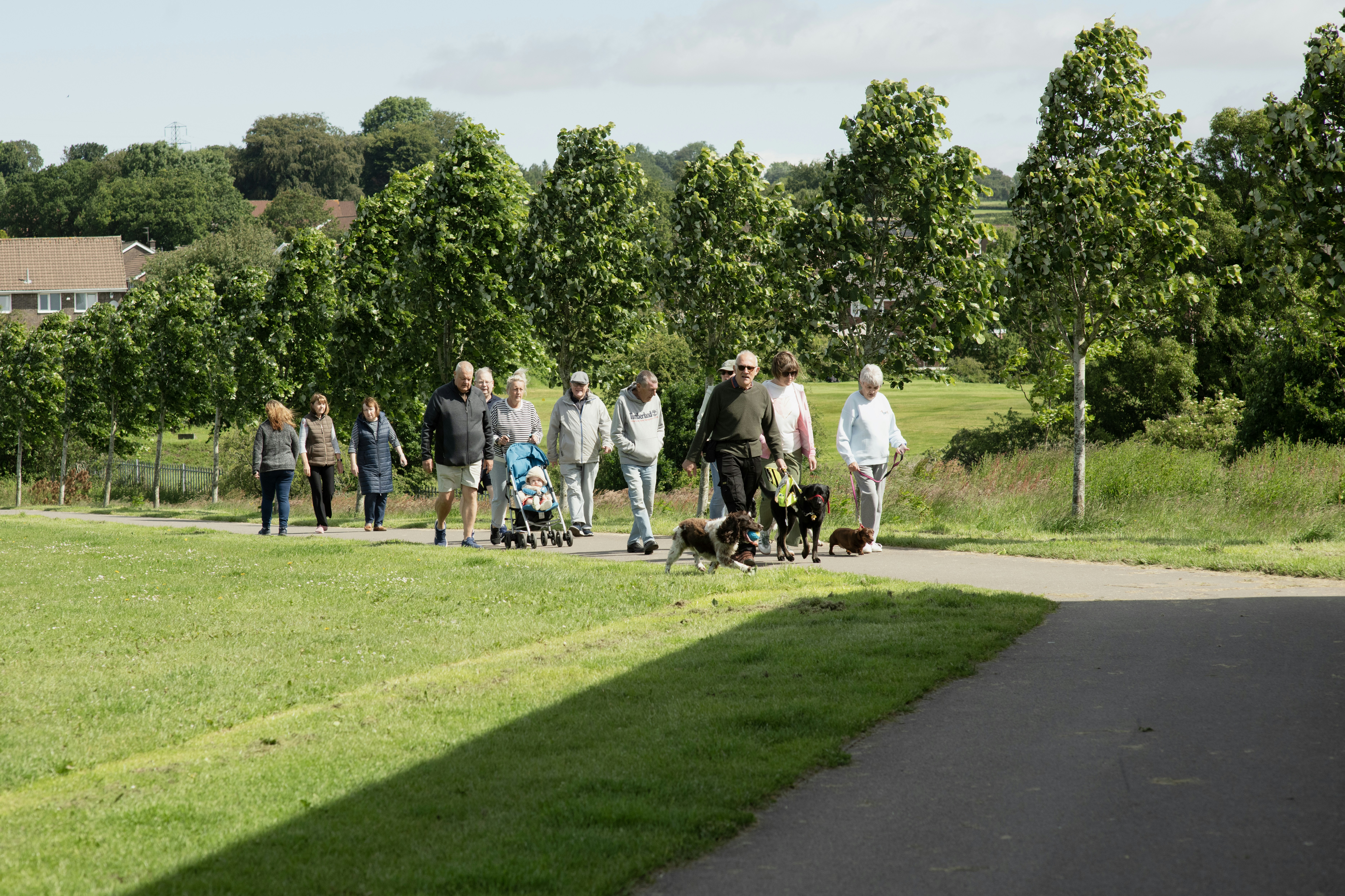 Parade of Strollers and Stride: A Sunny Park Walk