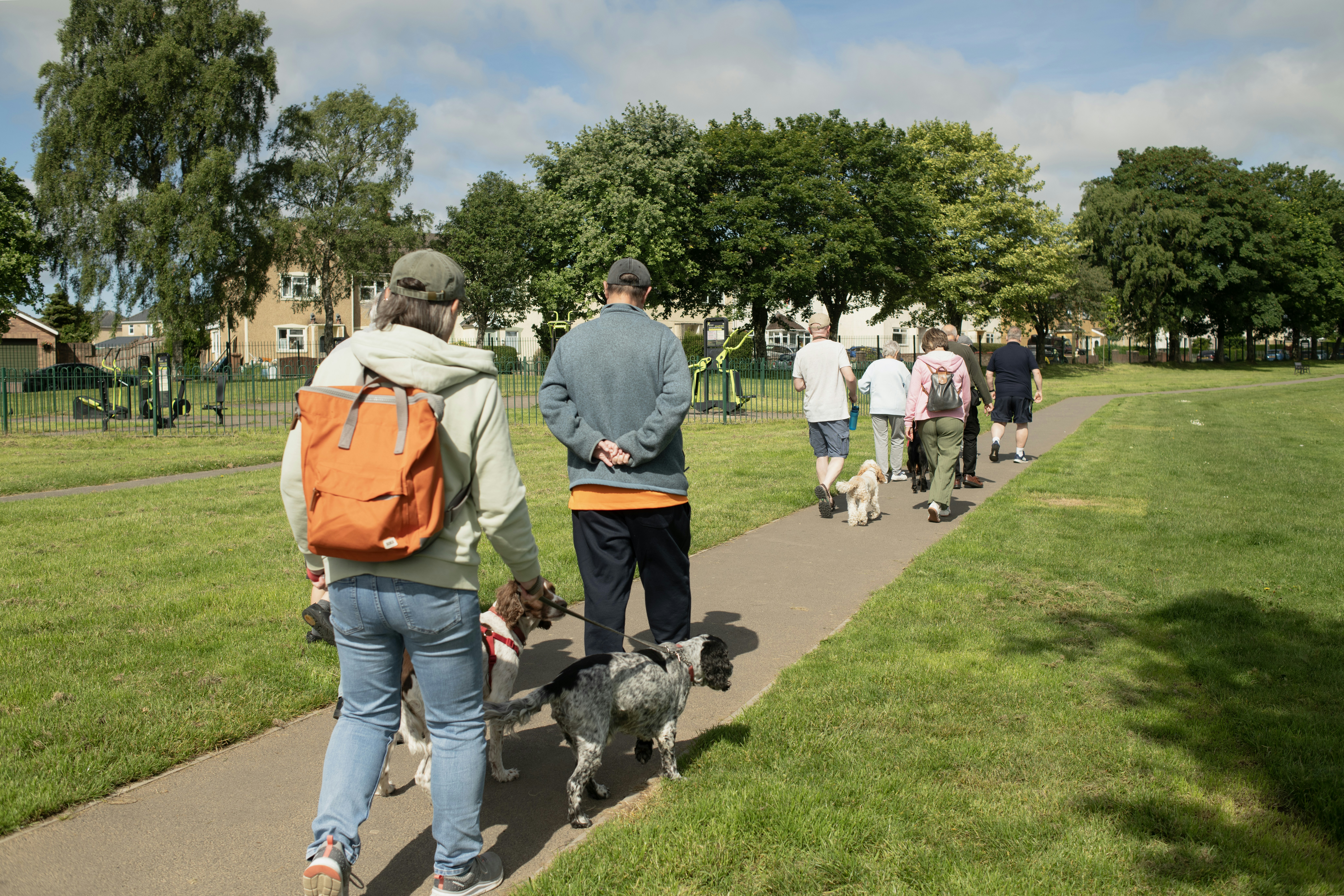 Marching Companions: A Stroll with Canine Comrades