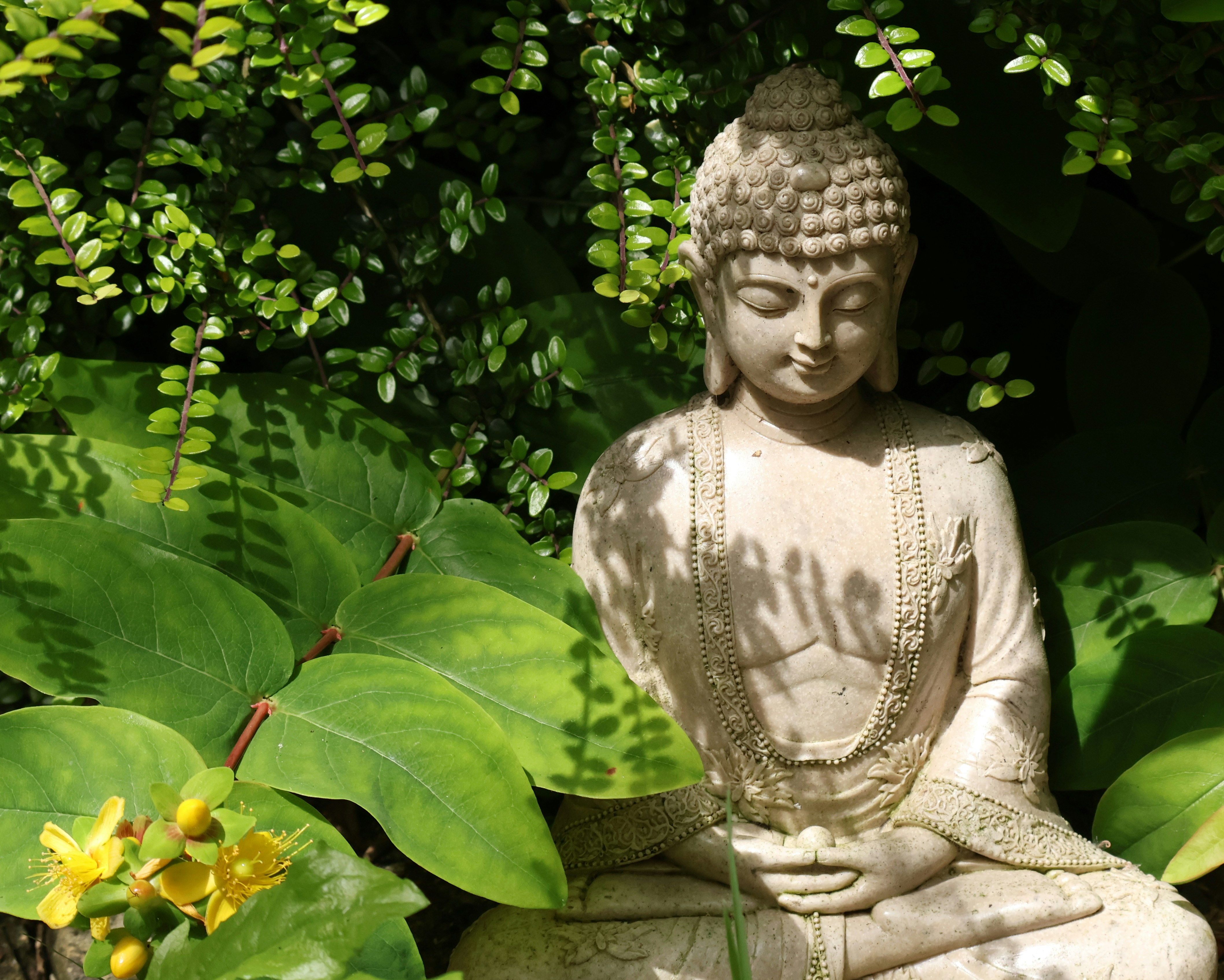 Serene Guardian: A Buddhasense Among Verdant Foliage