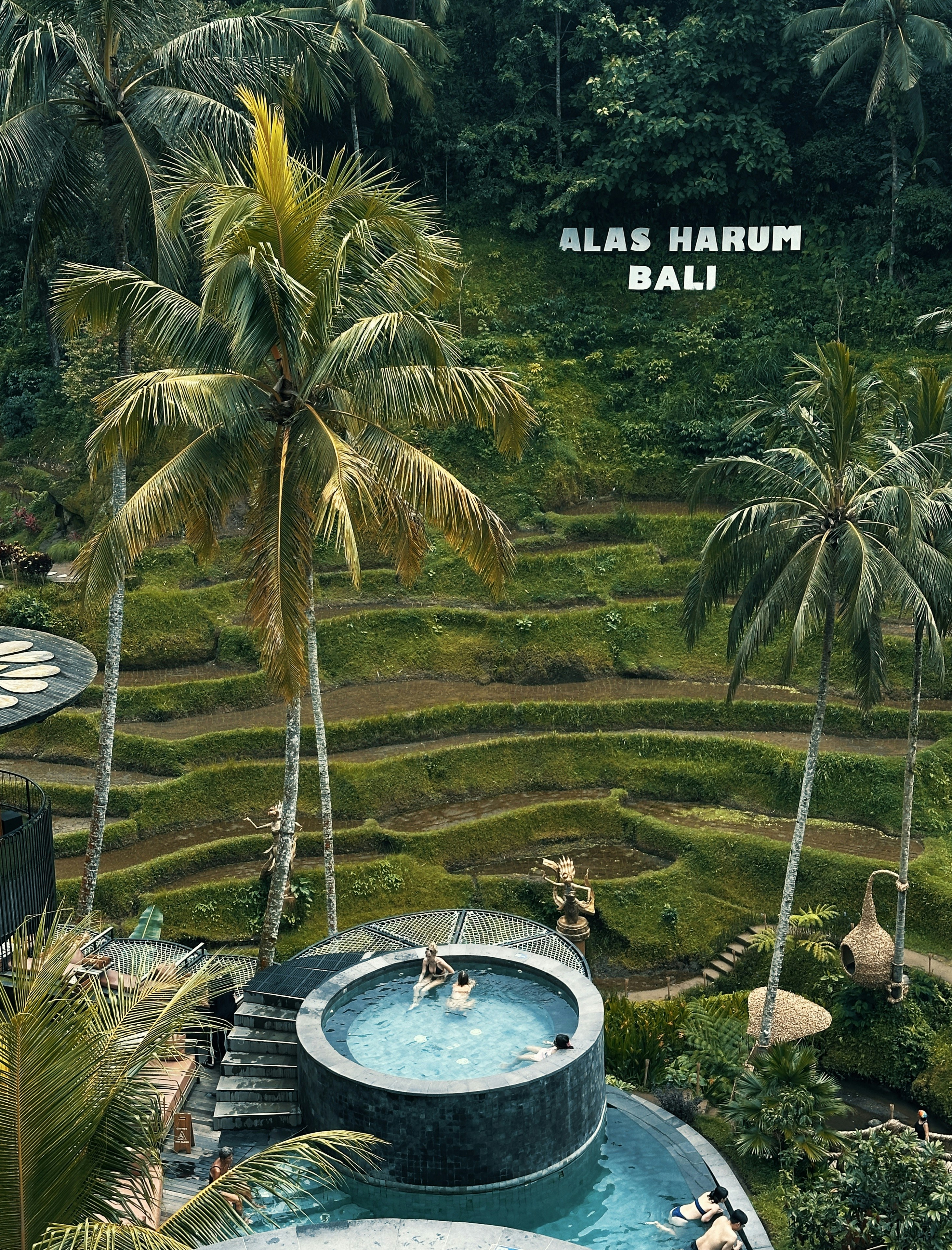 Terraced Serenity: Poolside at Alas Harum Bali