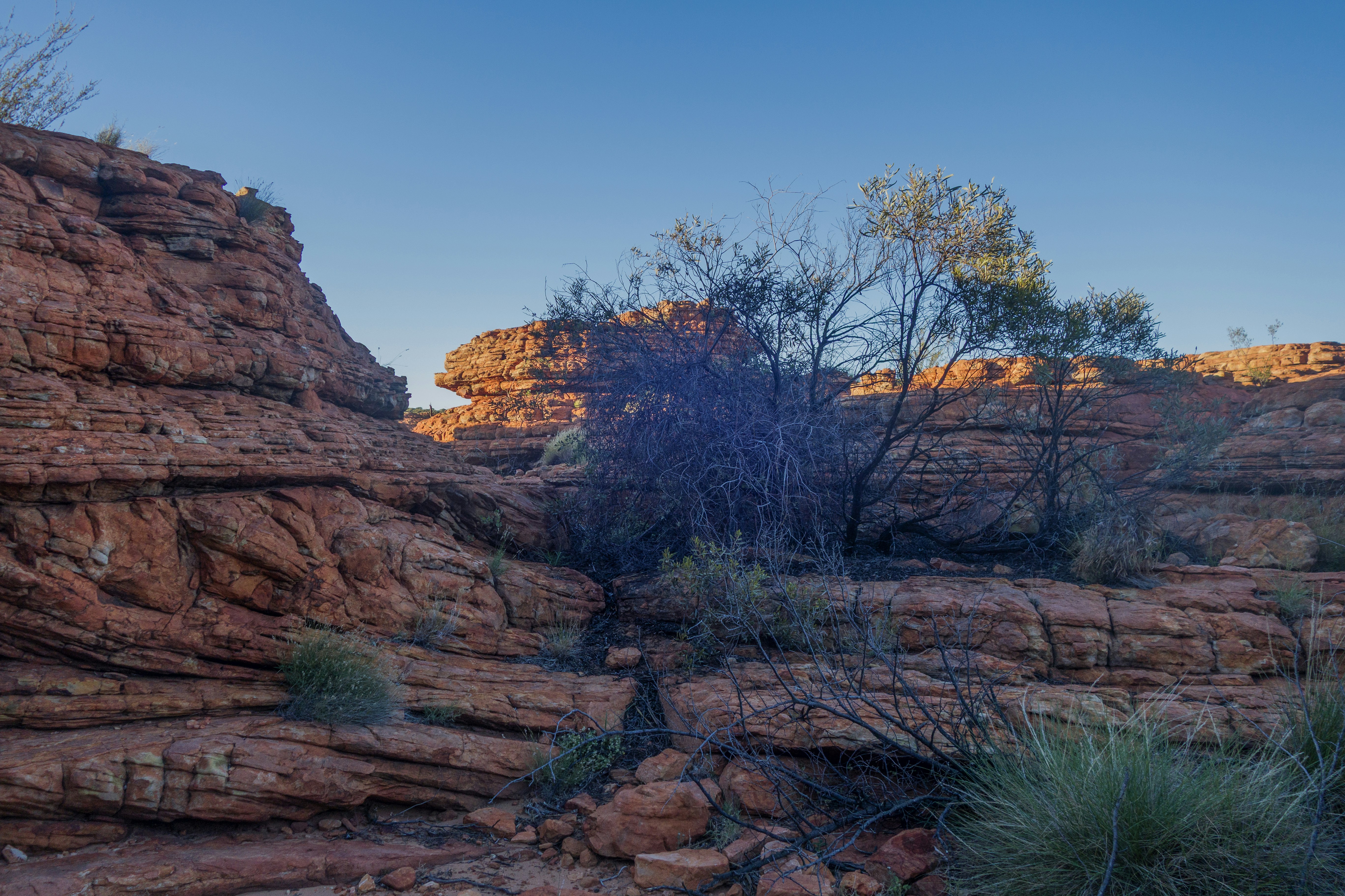 Desert Cliffscape Under Clear Morning Light