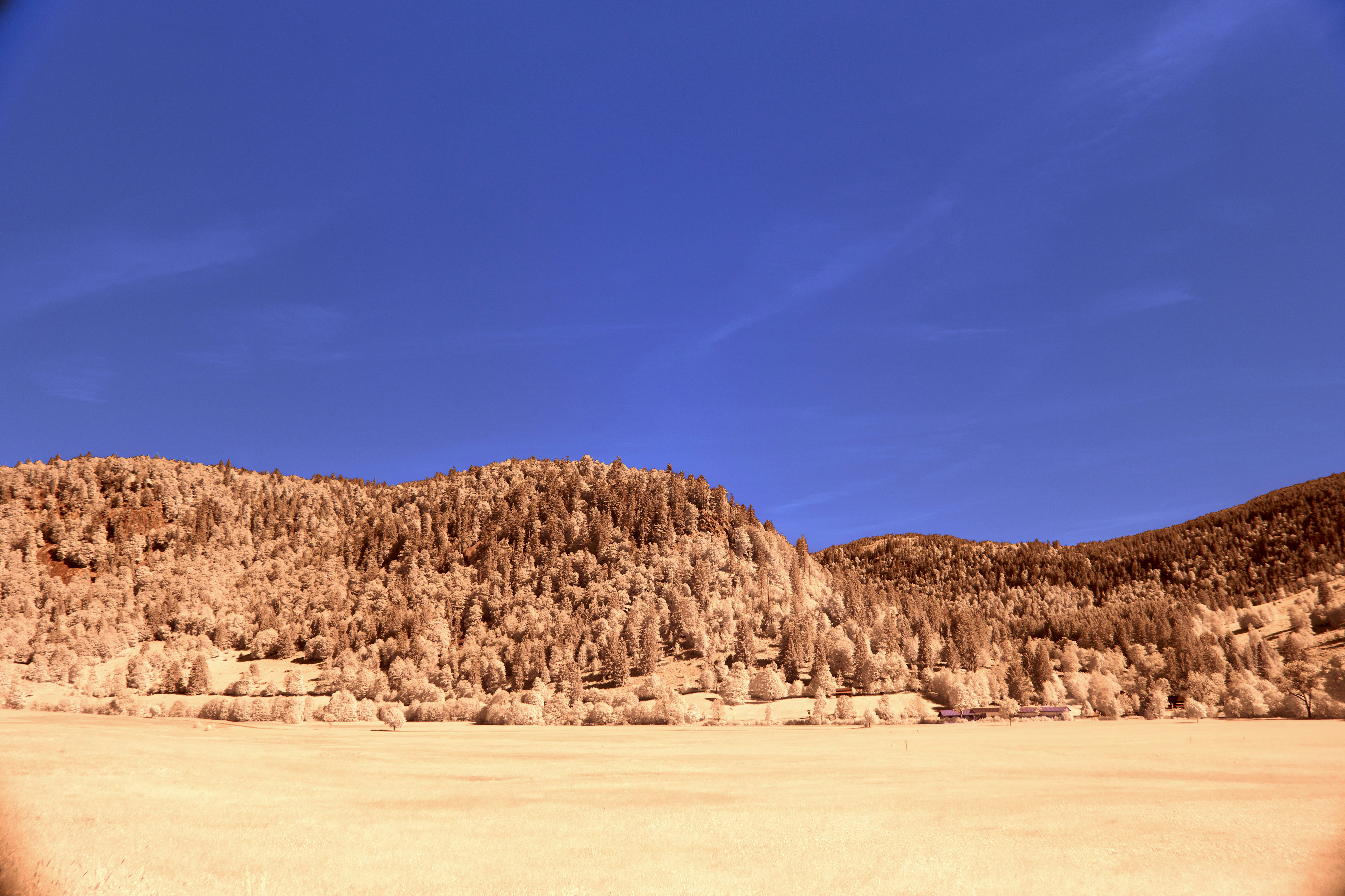Desert Horizon Under a Pristine Blue Dome