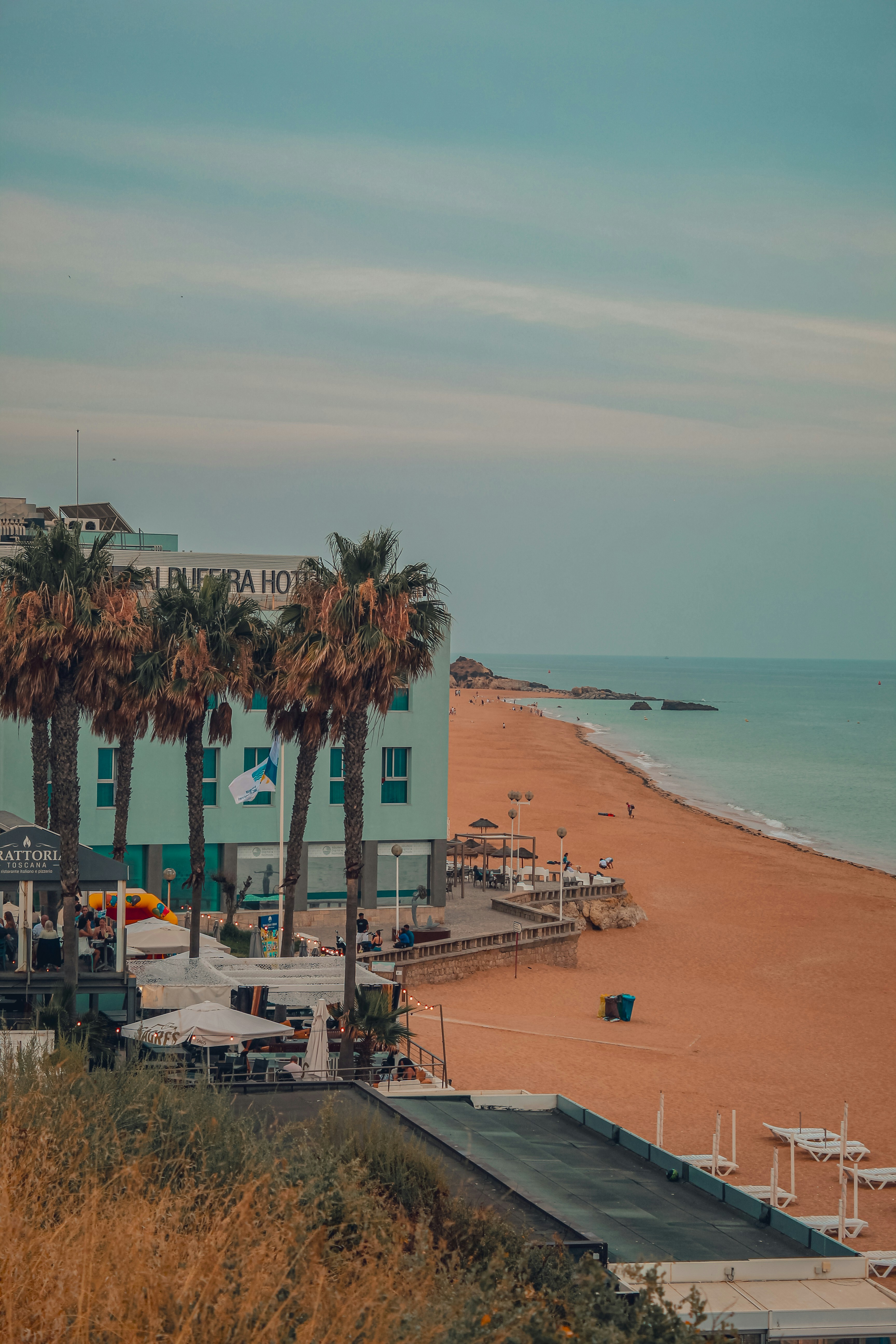 Seaside Lane: Palm Trees, Beachfront Café, and Quiet Horizon