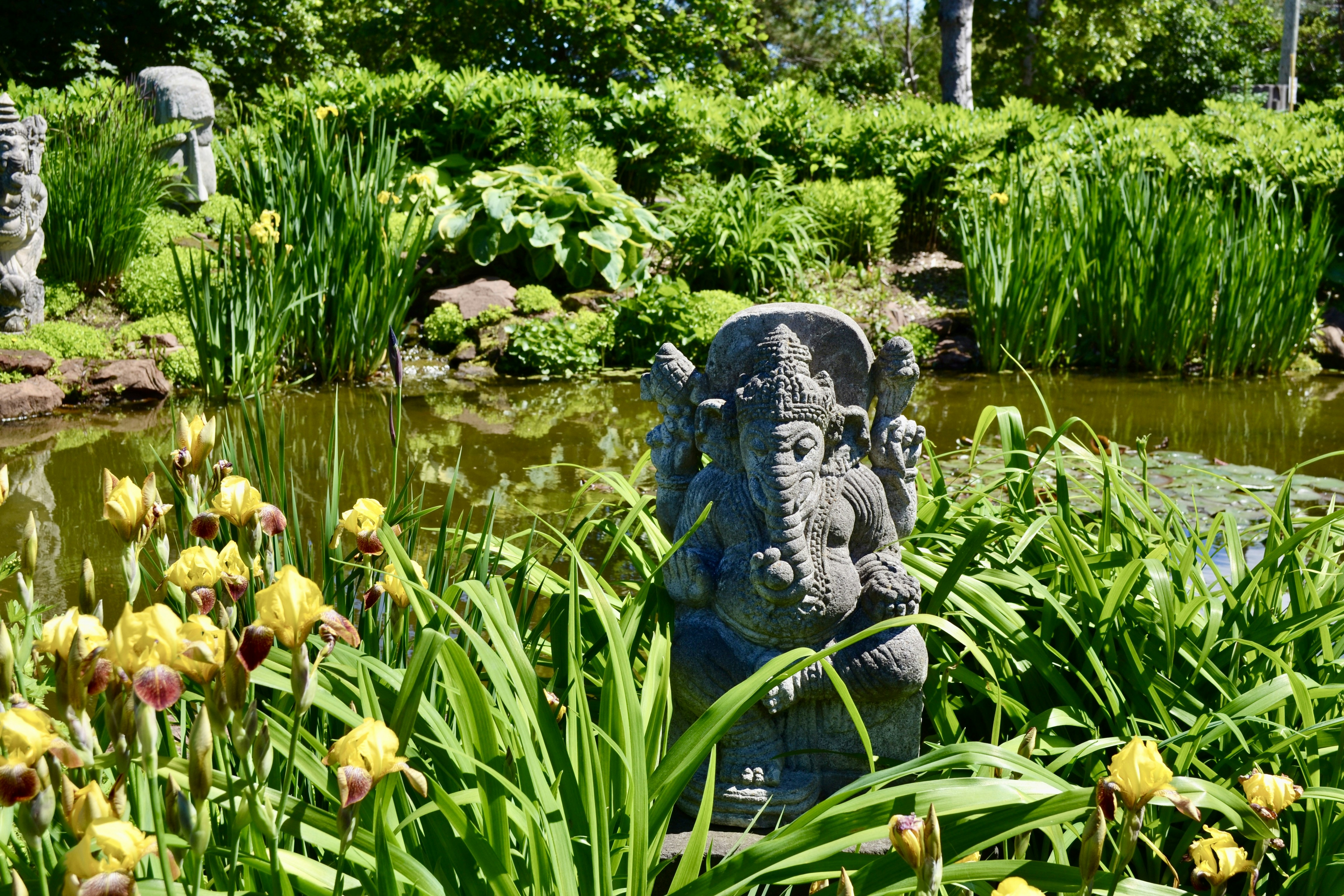 Stone Ganesh Amid Blooming Yellow Irises by a Tranquil Pond