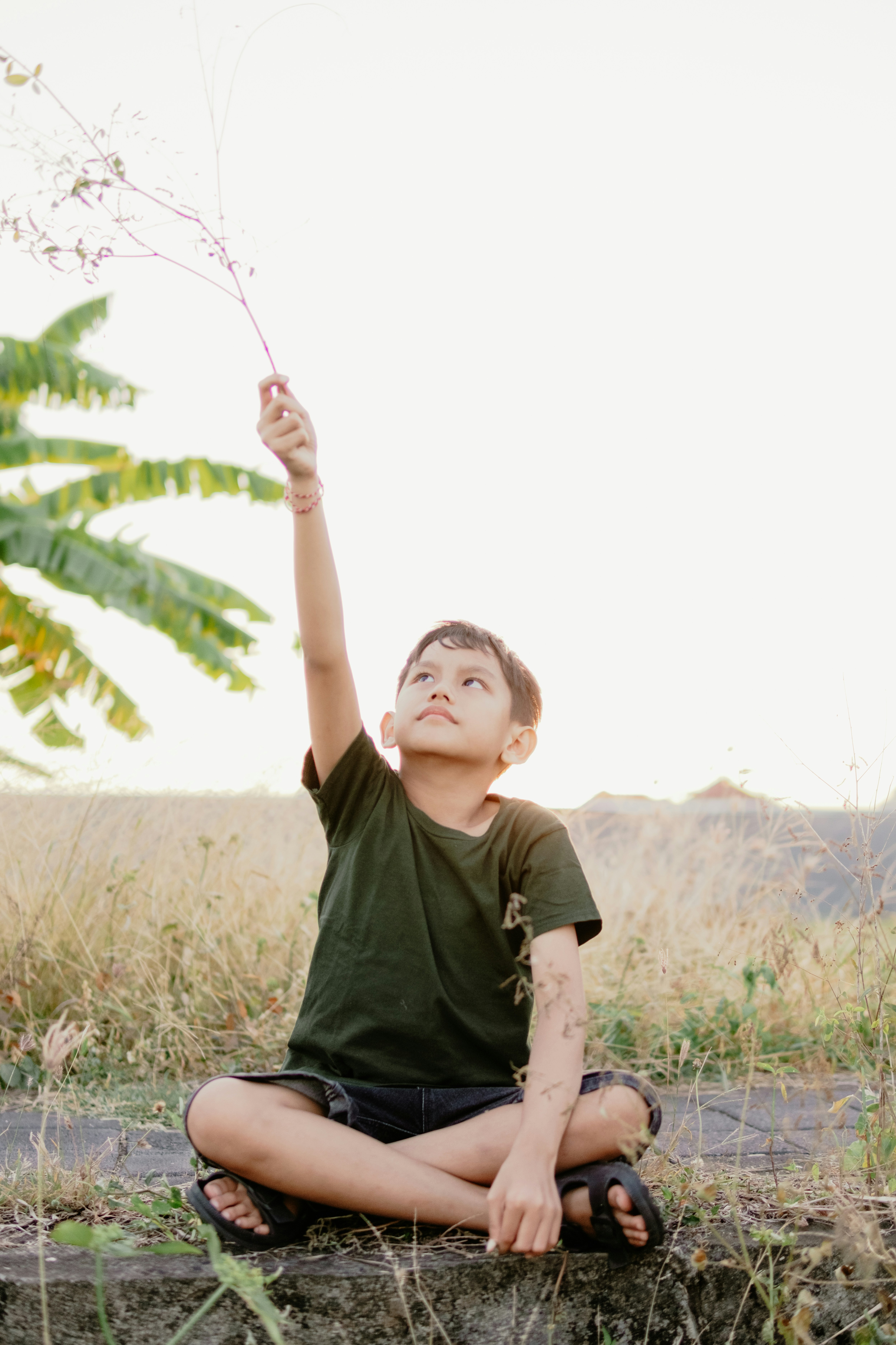 Child on a sunlit bench reaching for the sky with a drift of wildflowers