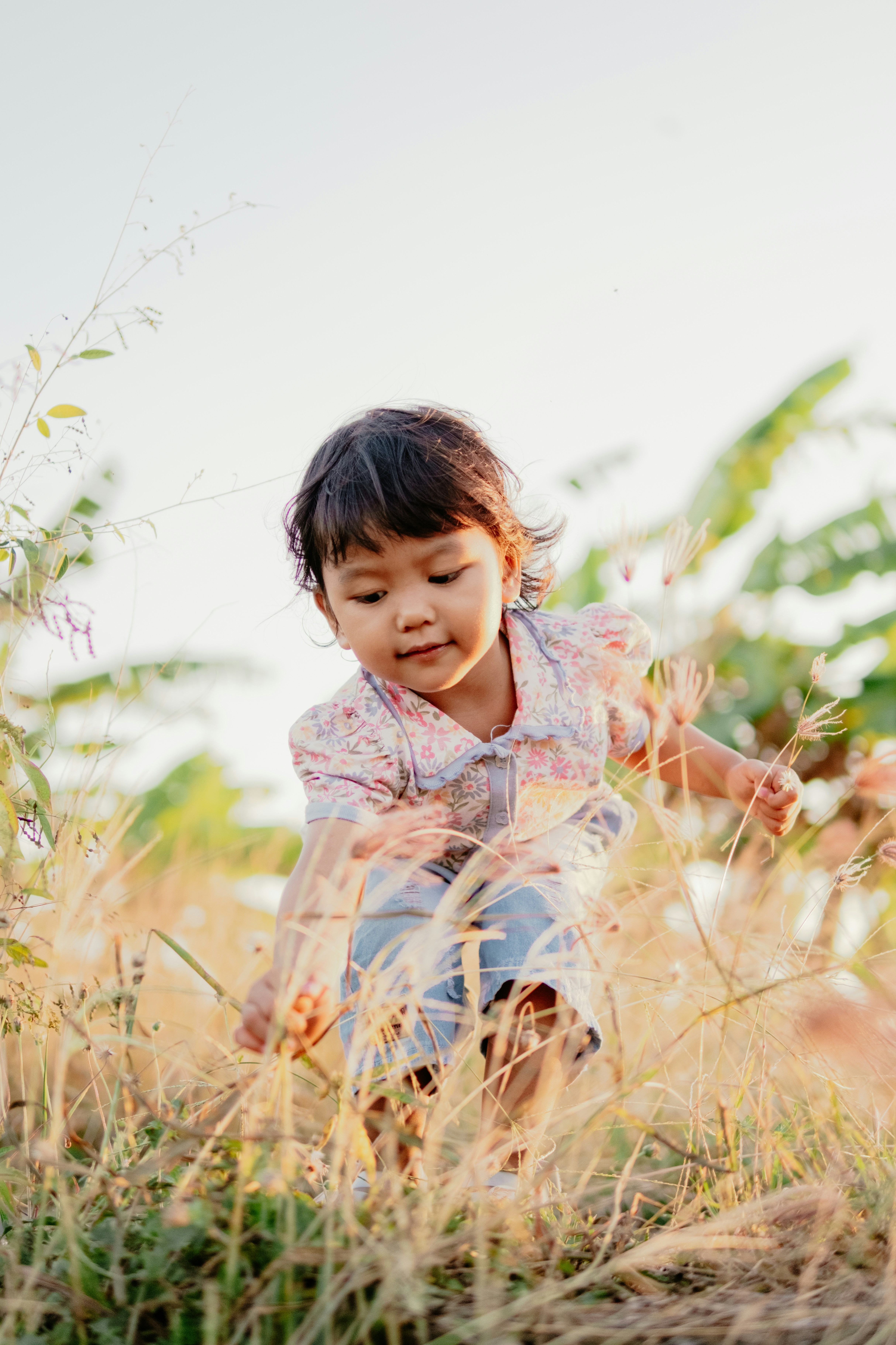 Child in Golden Field: A Gentle Moment Among Tall Grass