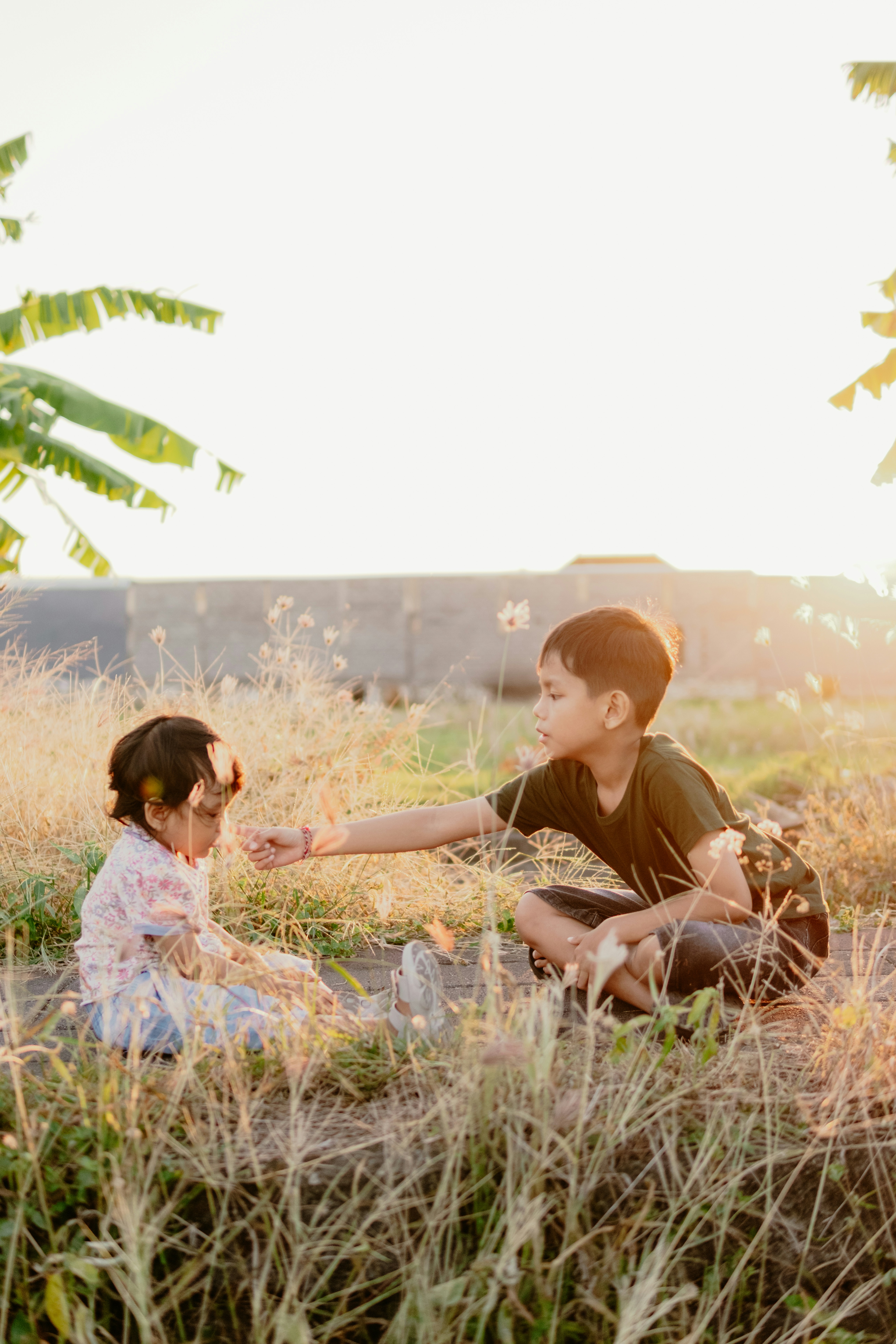 Sunlit Exchange: A Brother Shares a Toy with His Sister in Golden Grass