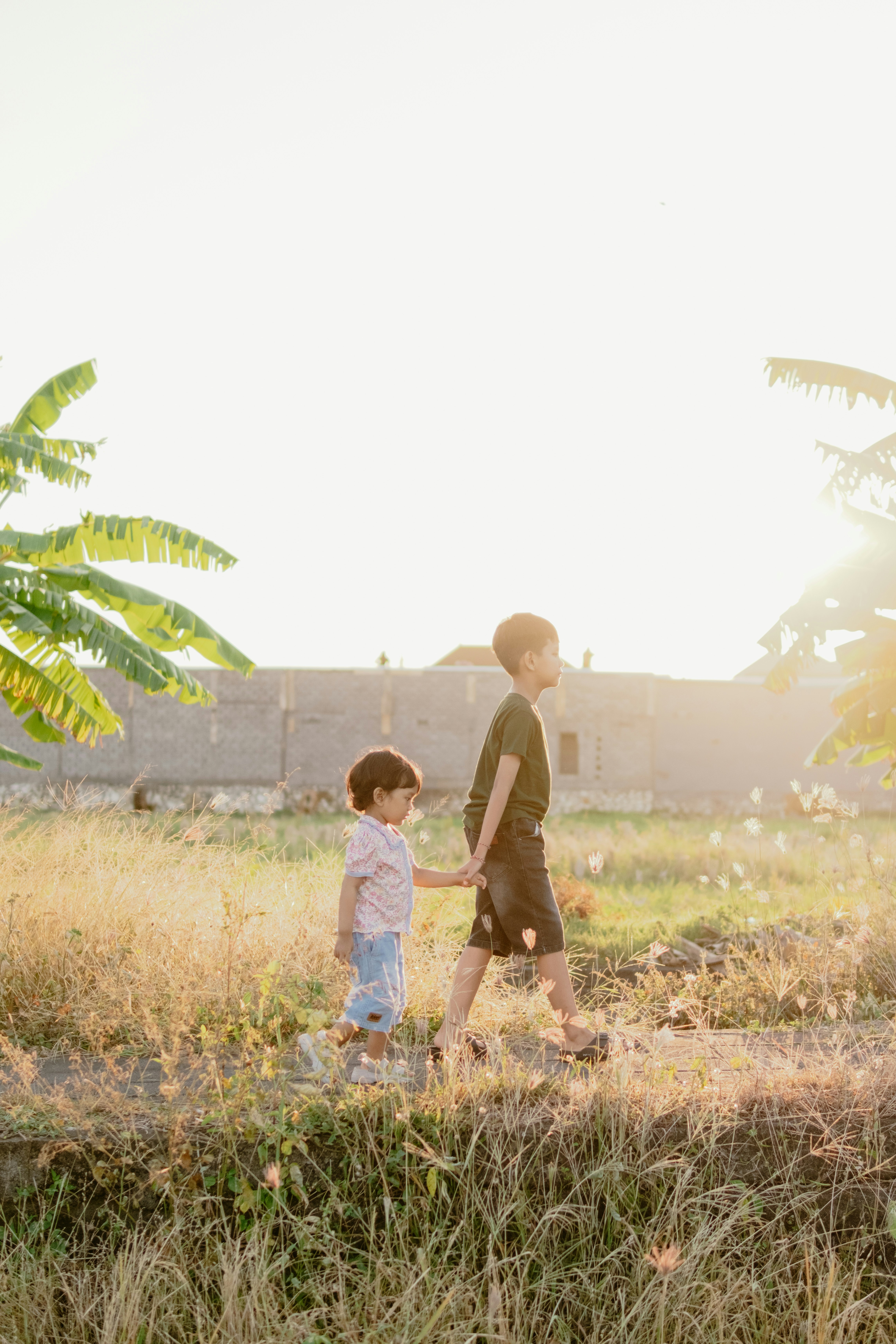 Holding Hands in a Sunlit Field