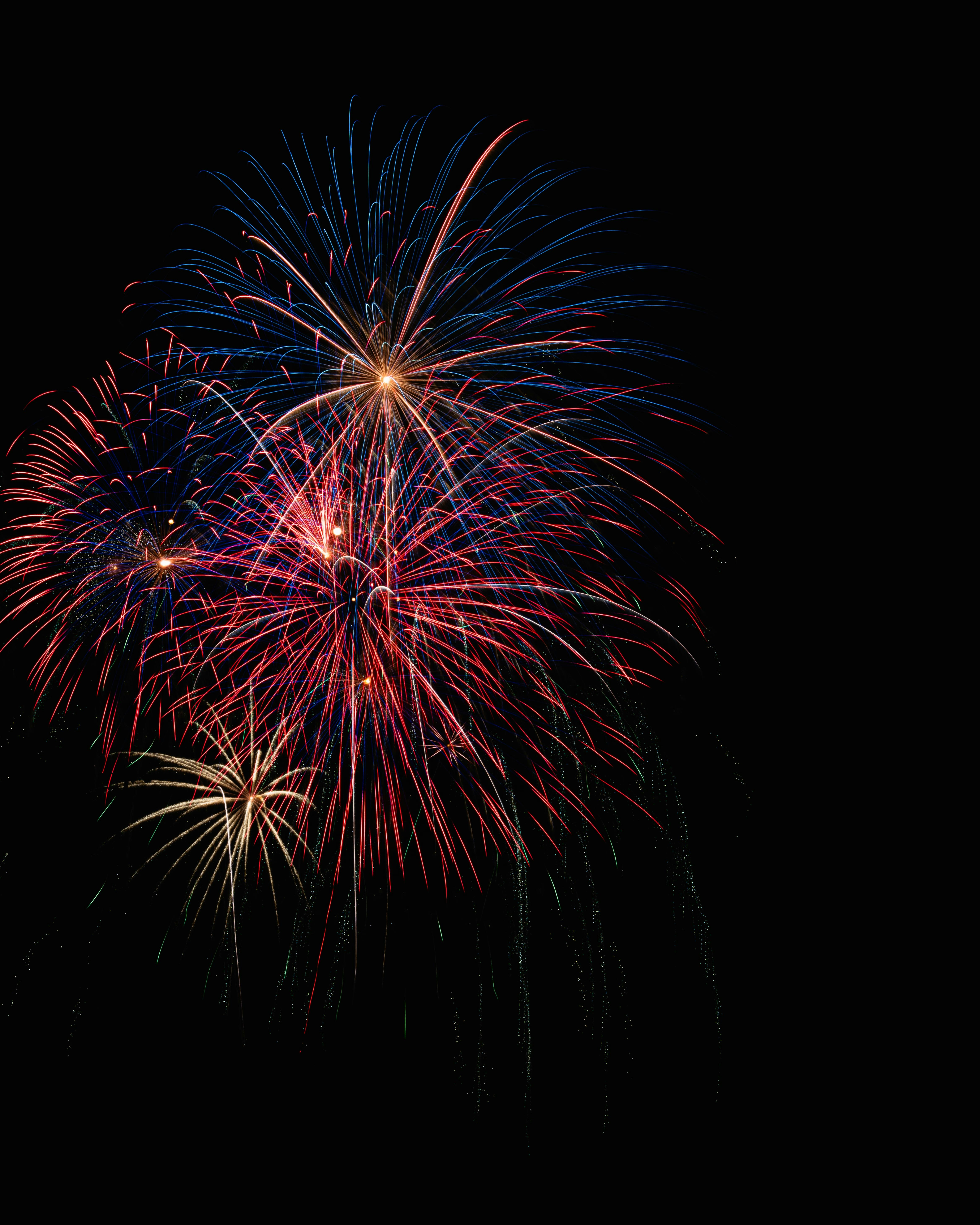 Midair Bloom: Fireworks Unfurl Against a Velvet Night