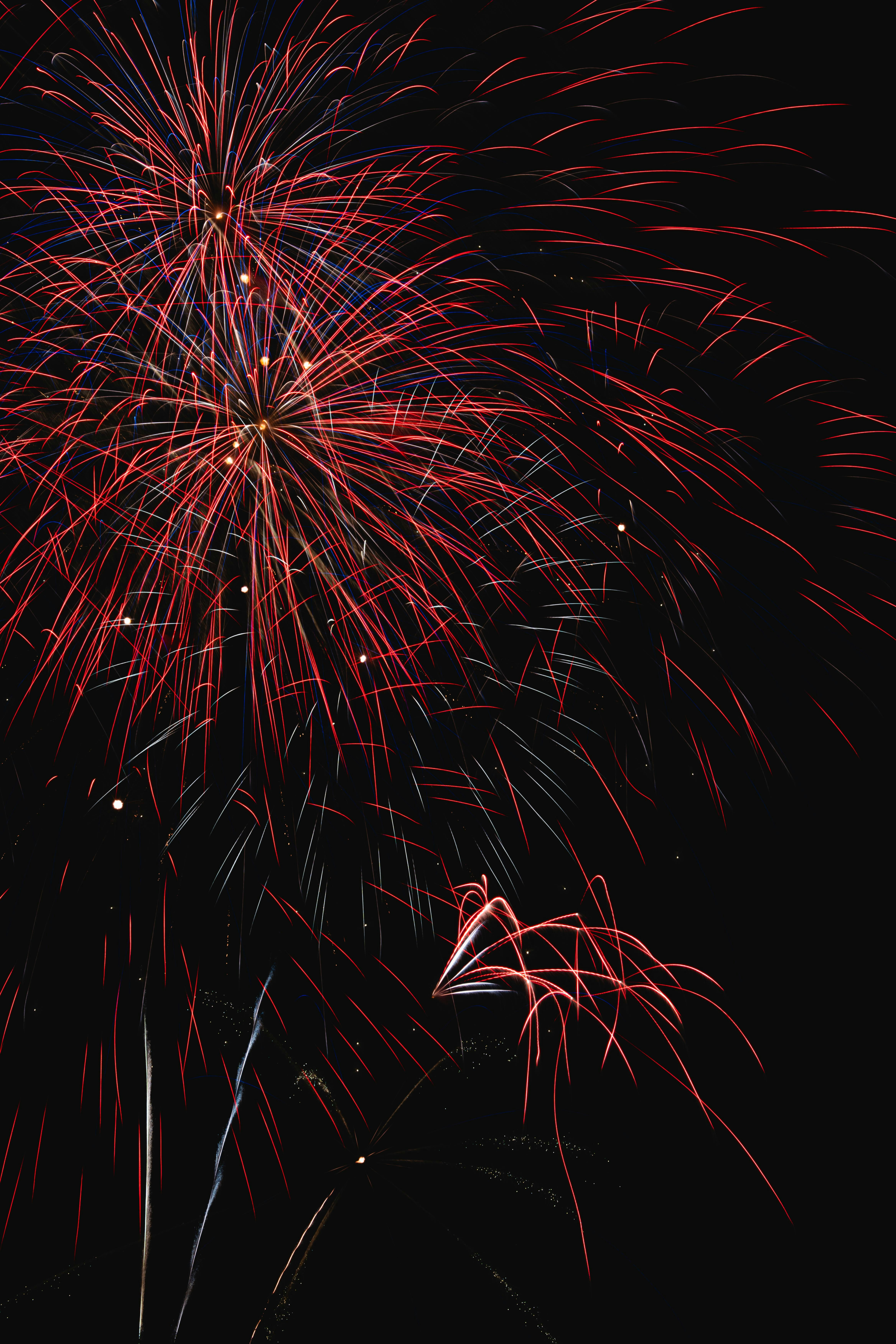 Bursting Night Sky: Red, Blue, and Gold Sparks over Dark Silence