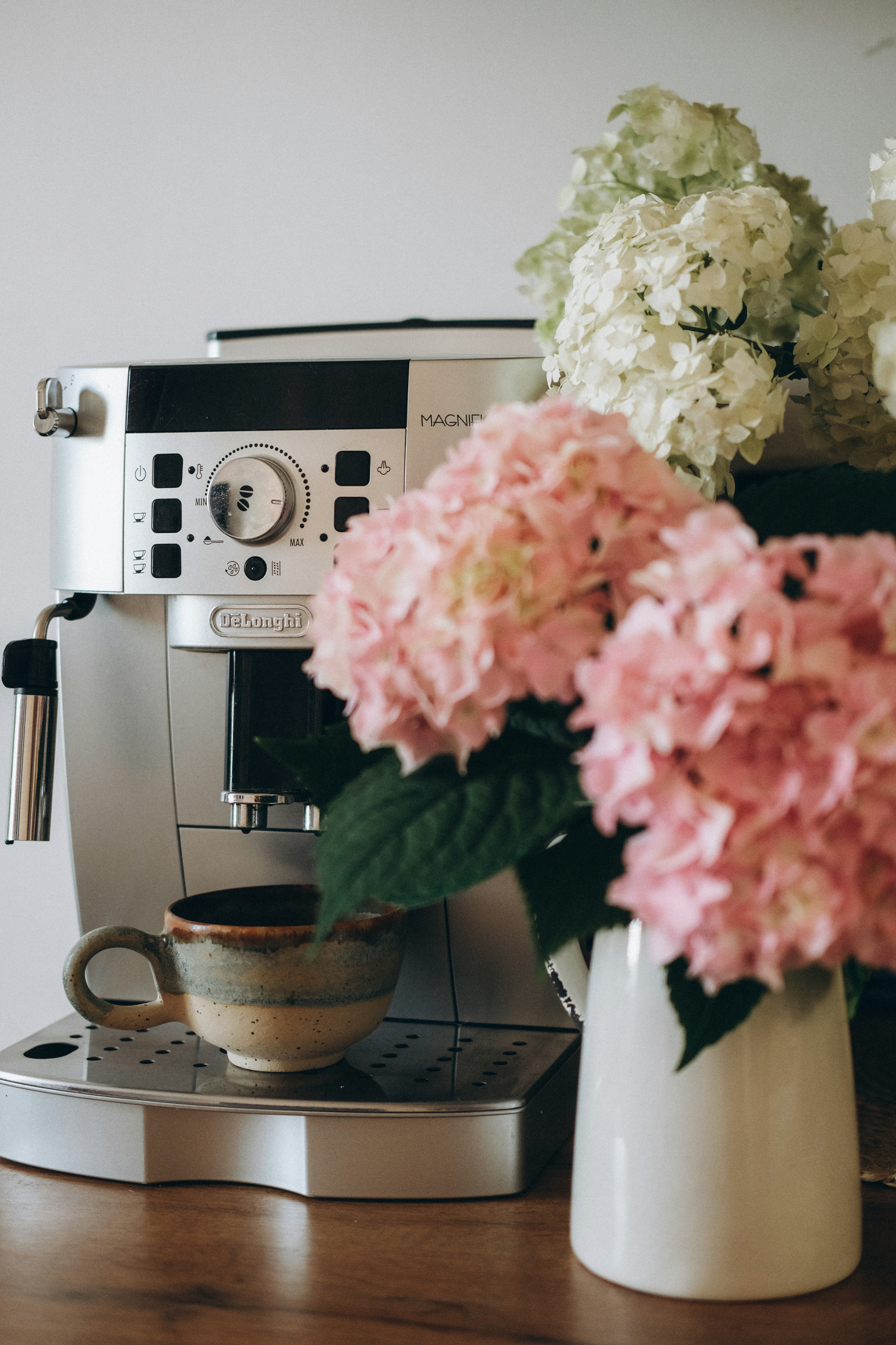 Creamy Aromas and Soft Focus: A Coffee Moment by the Hydrangeas