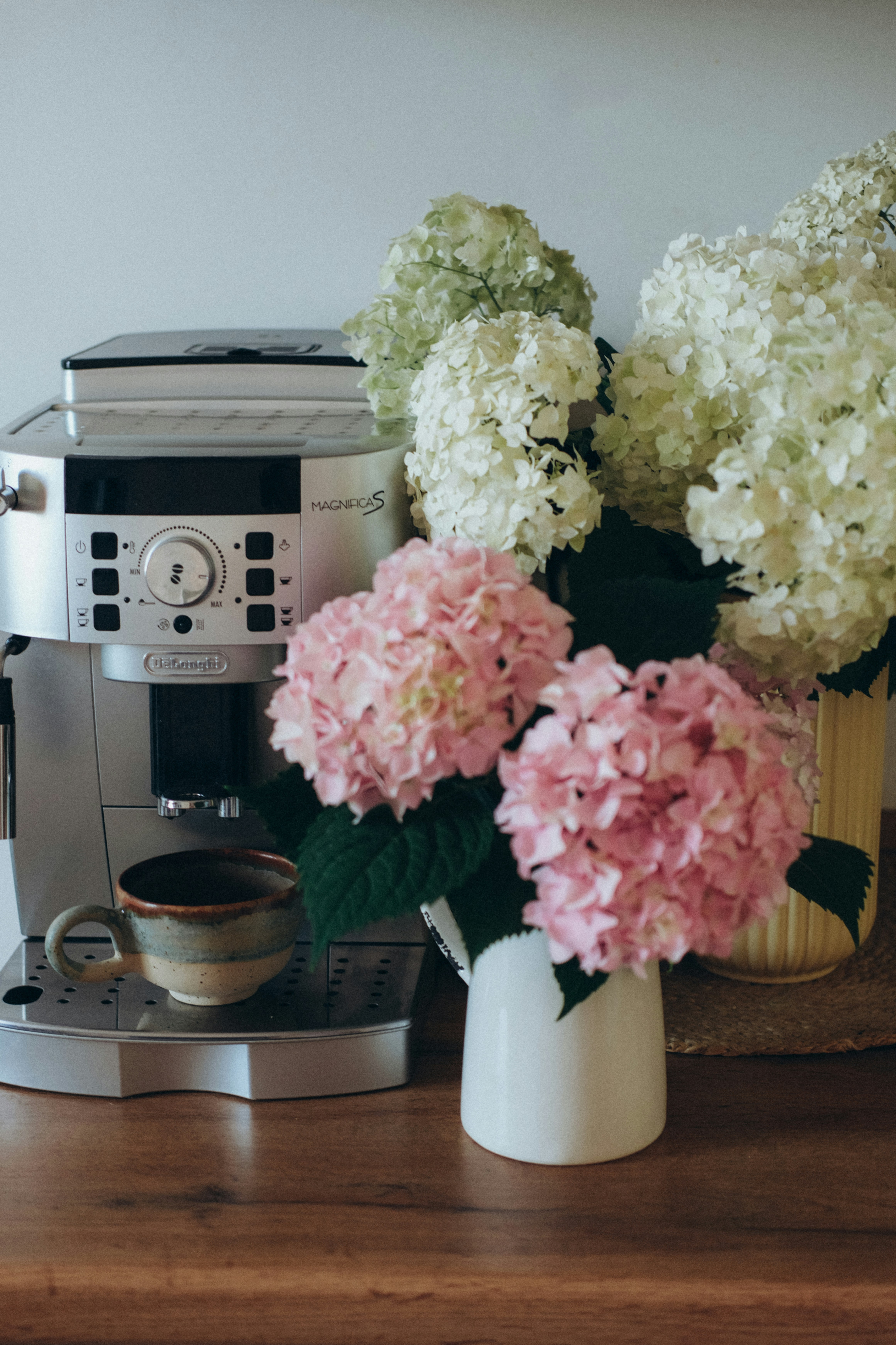 Hydrangea Still Life by the Espresso Machine