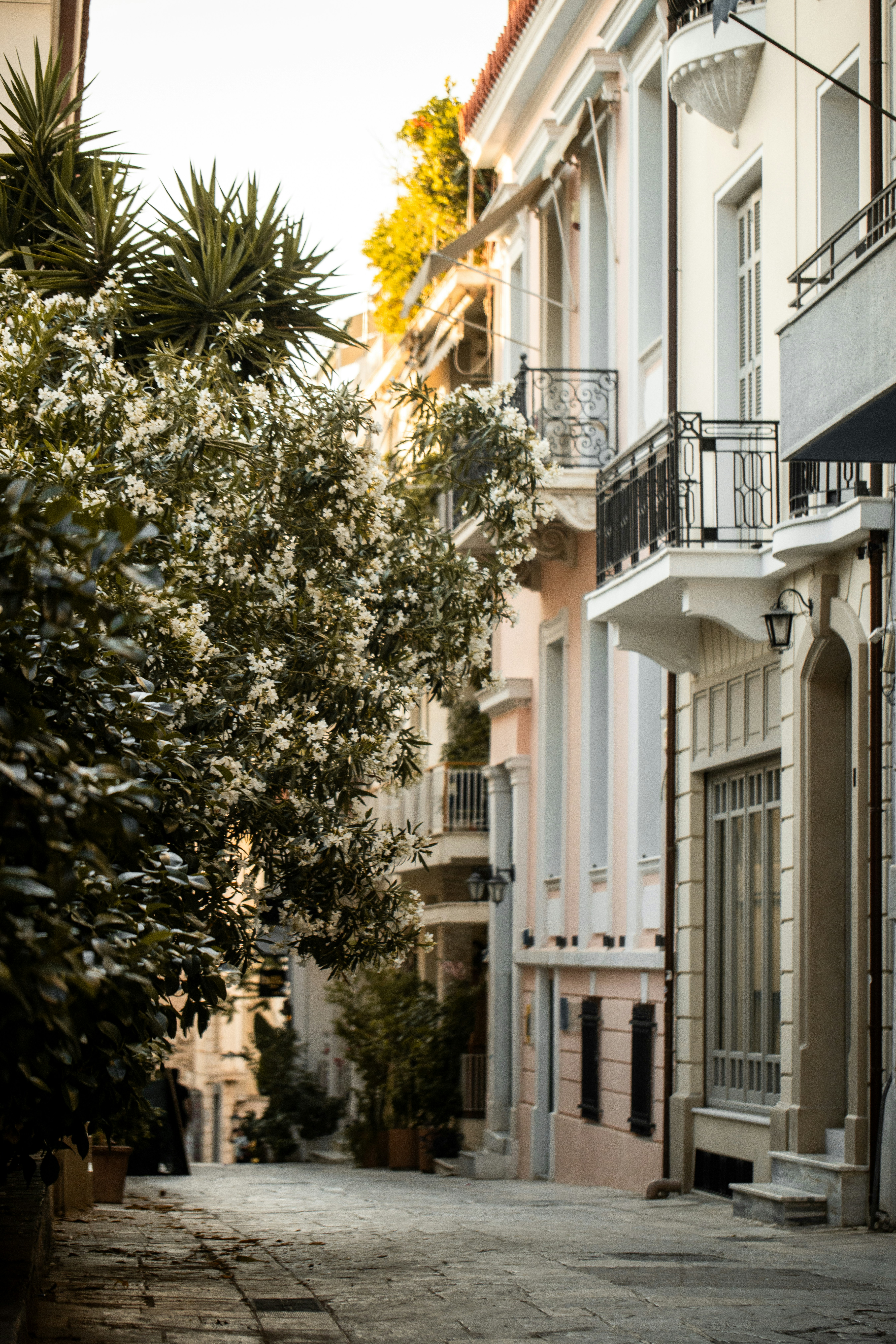 Sunlit Alleyway with Blooming Wisteria: A Quiet European Street Visit