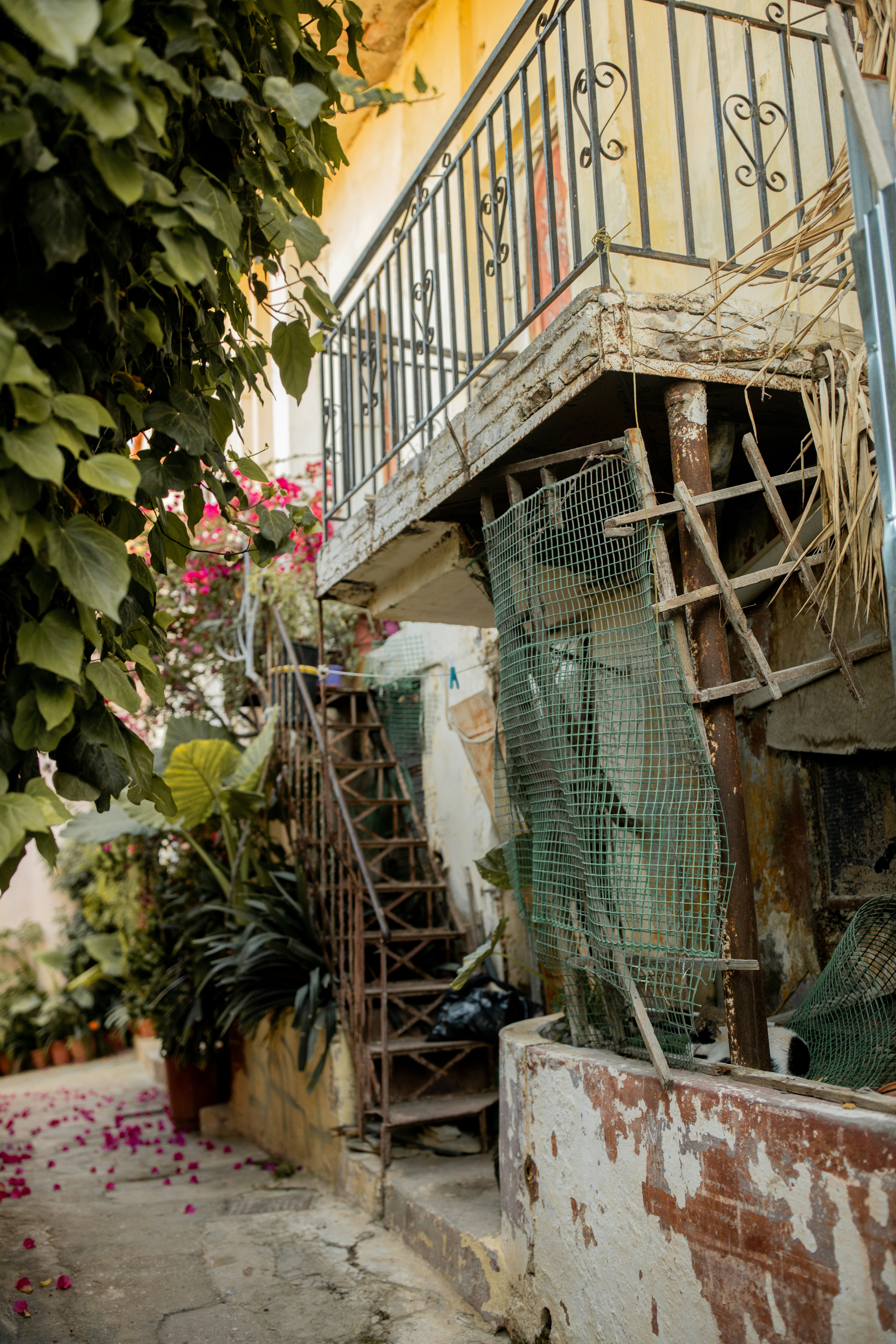Balcony Overgrown with Rust and Greenery