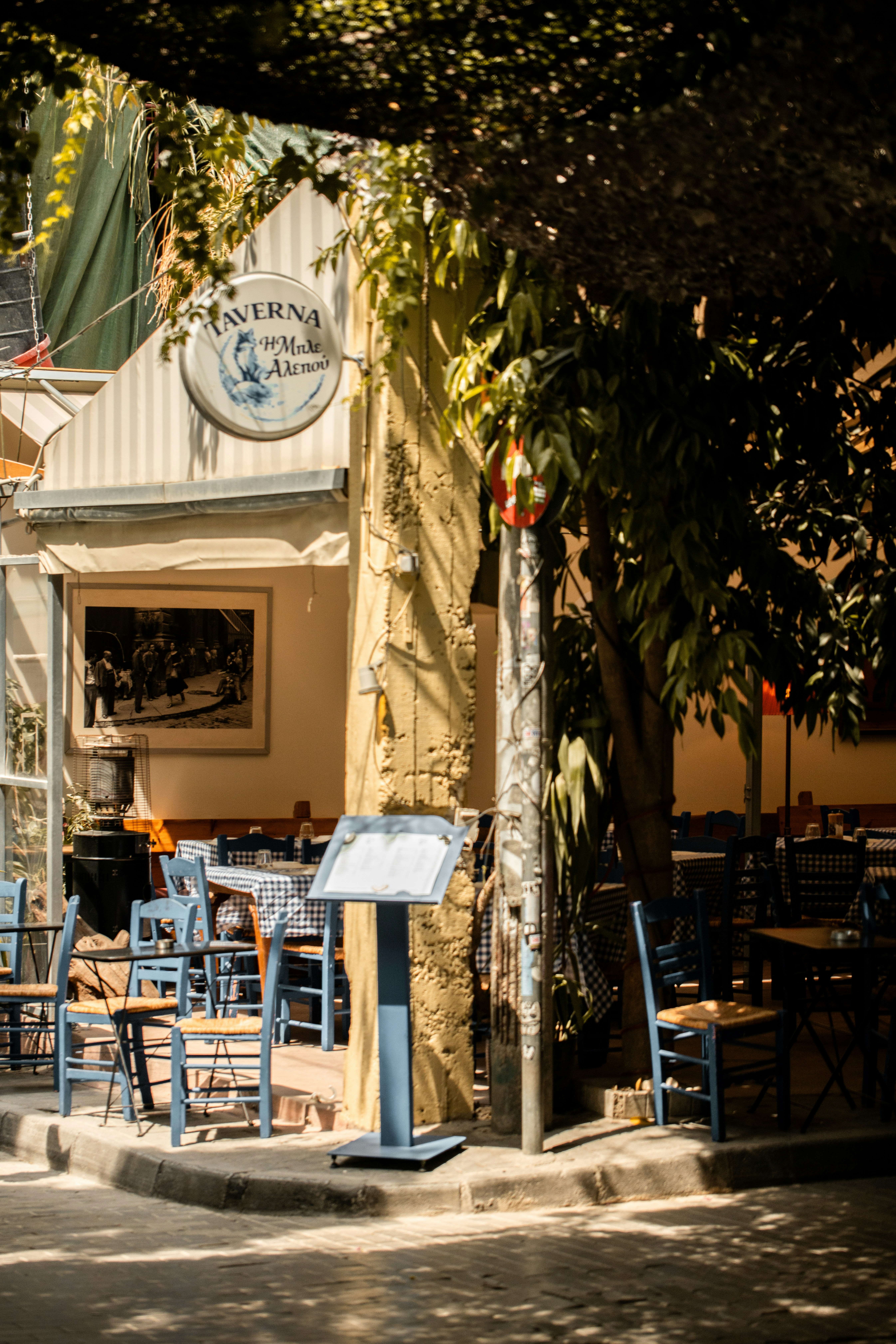 Cobbled Café Corner Under Dappled Shade