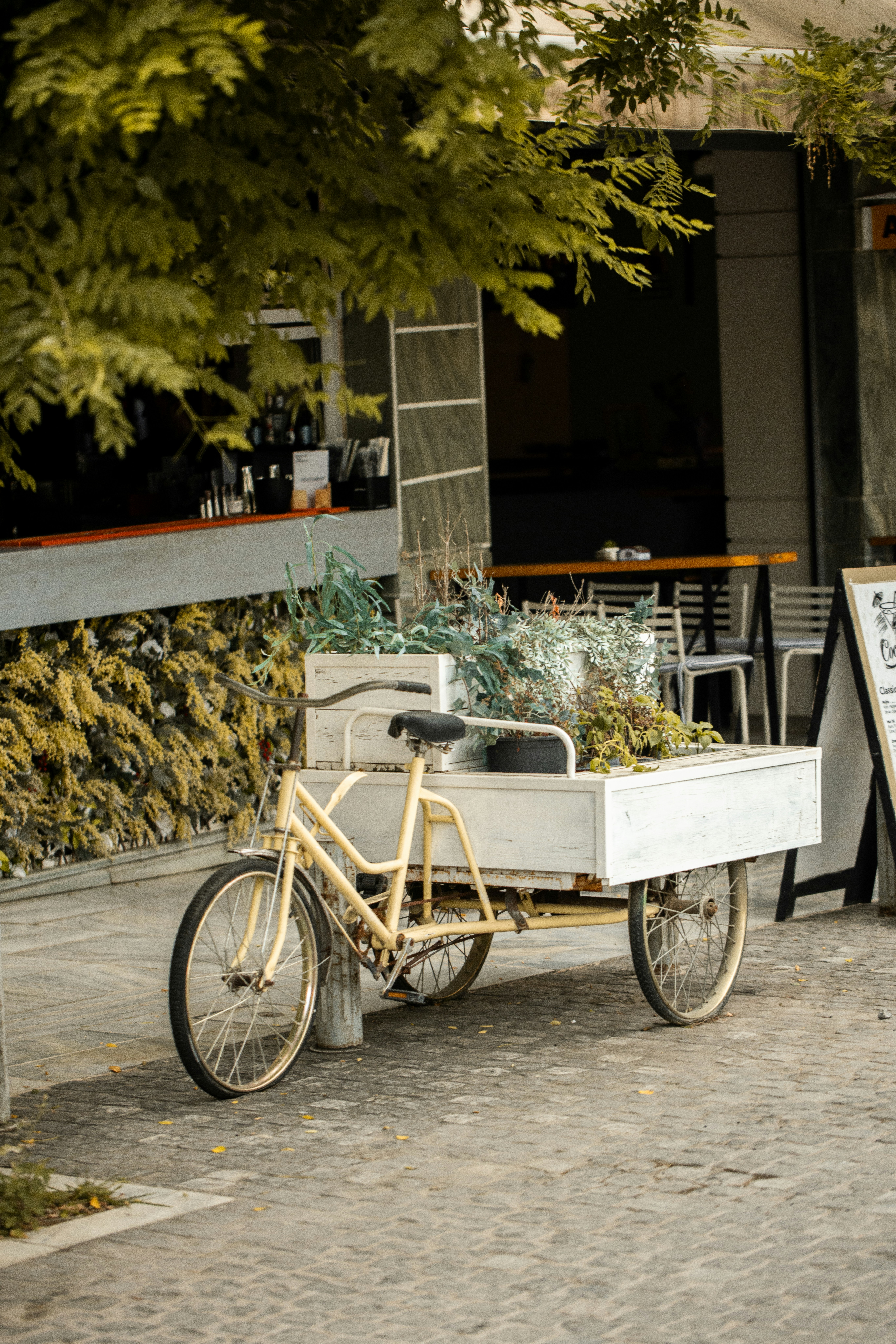 Rickshaw Cart Bedecked with Plants in Front of a Café